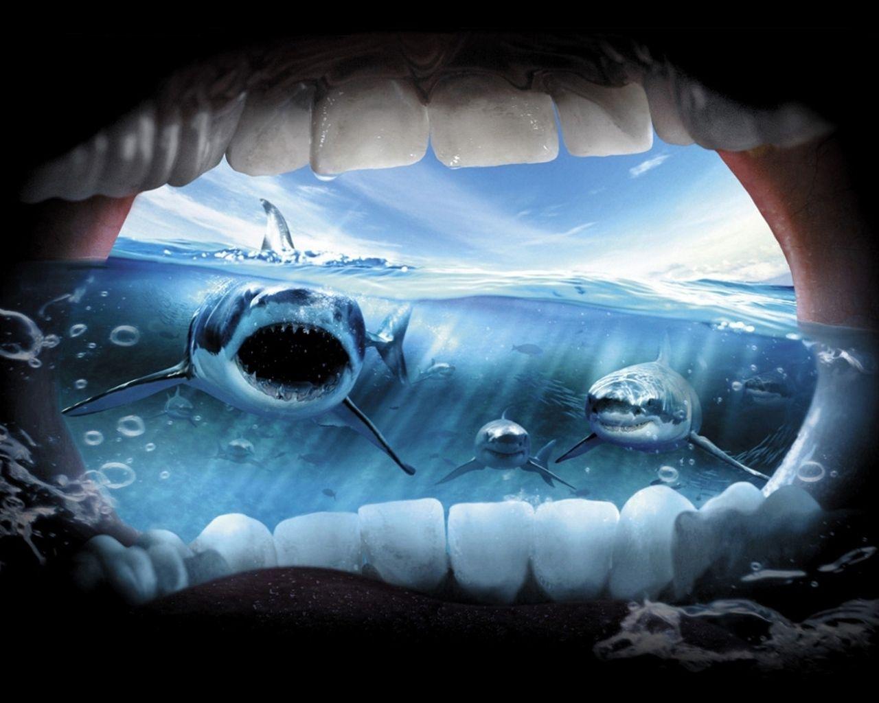 Jaws 2 Wallpapers - Top Free Jaws 2 Backgrounds - WallpaperAccess