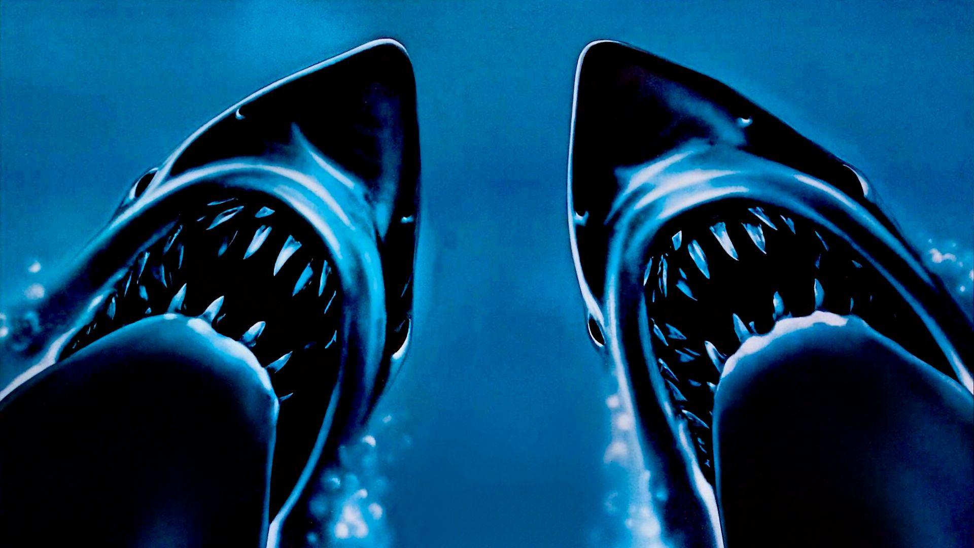 Jaws 2 Wallpapers - Top Free Jaws 2 Backgrounds - WallpaperAccess