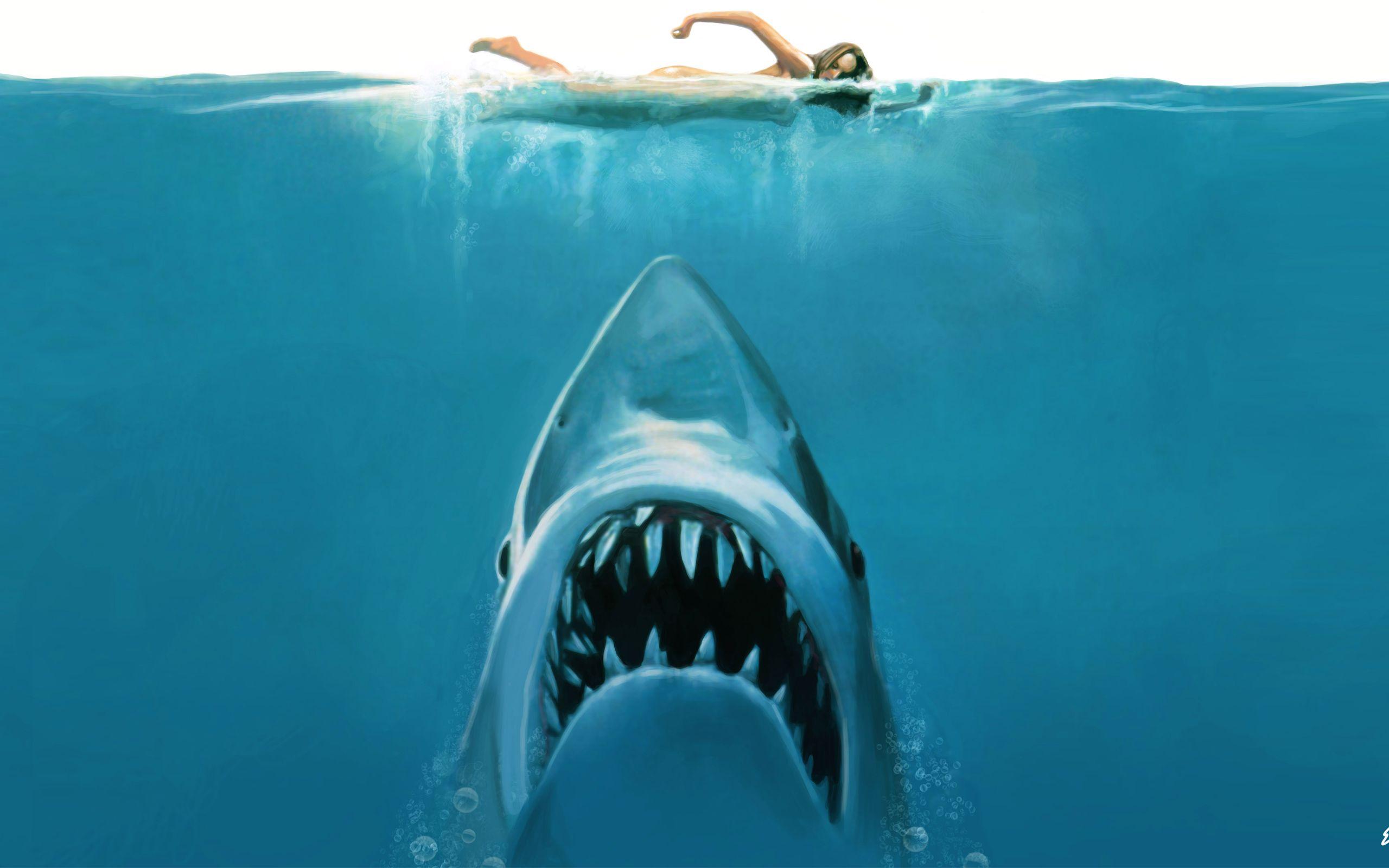 Jaws 2 Wallpapers - Top Free Jaws 2 Backgrounds - WallpaperAccess