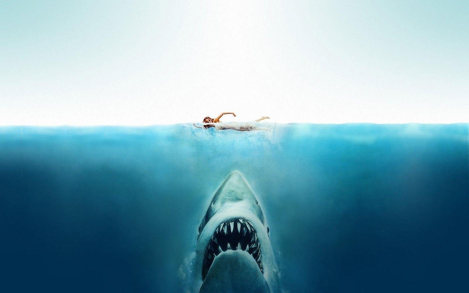 Jaws 2 Wallpapers - Top Free Jaws 2 Backgrounds - WallpaperAccess