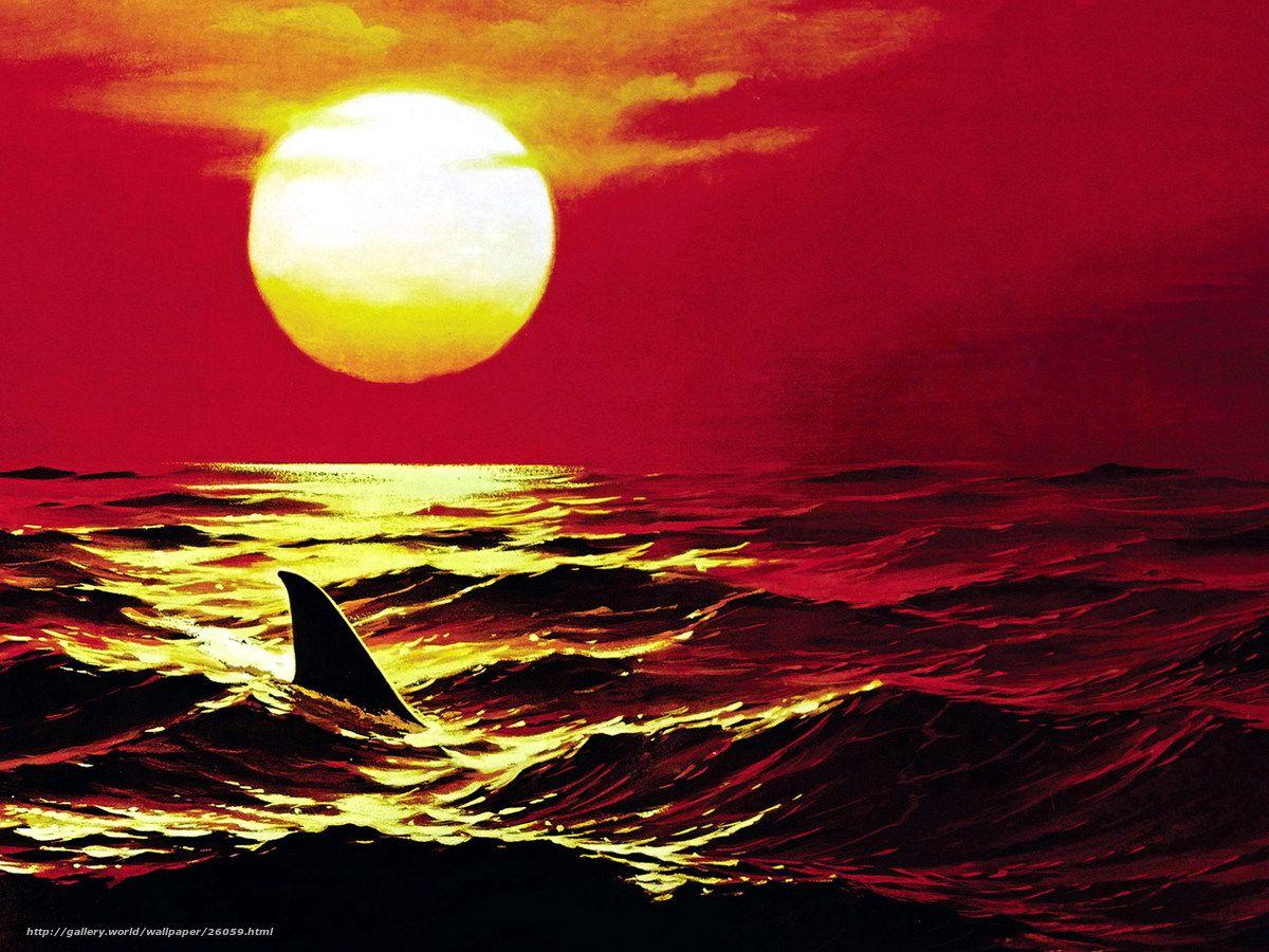 Jaws 2 Wallpapers - Top Free Jaws 2 Backgrounds - WallpaperAccess