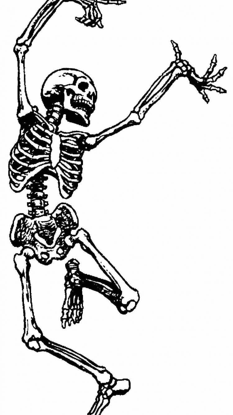 Funny Skeleton Wallpapers - Top Free Funny Skeleton Backgrounds ...