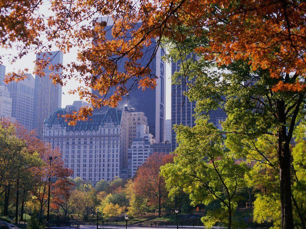 Central Park Wallpapers - Top Free Central Park Backgrounds ...