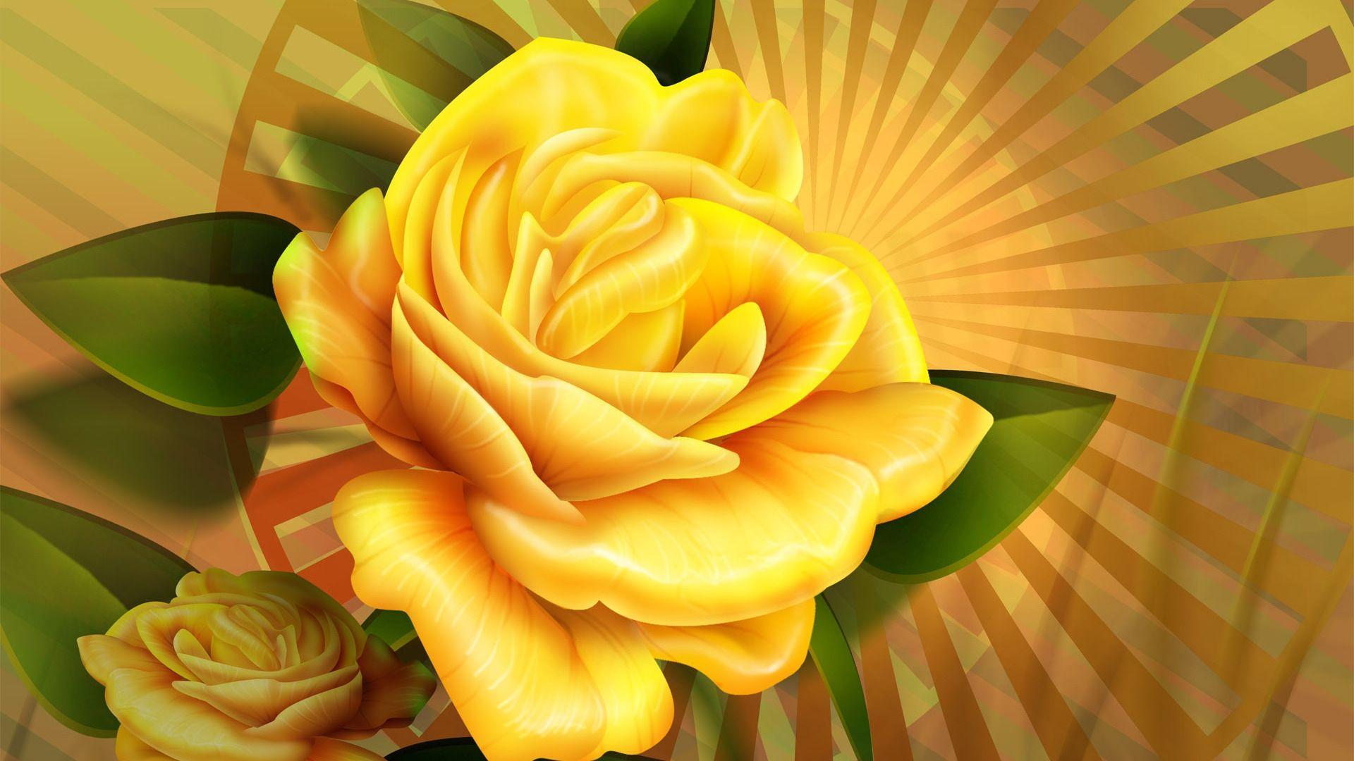 Yellow Rose HD Wallpapers - Top Free Yellow Rose HD Backgrounds ...