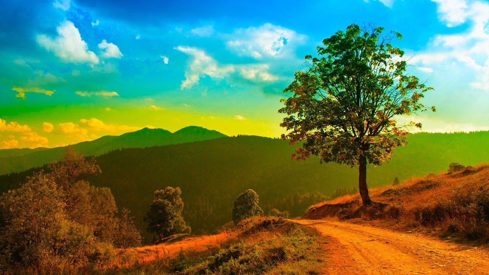 Extraordinary Nature Wallpapers - Top Free Extraordinary Nature ...
