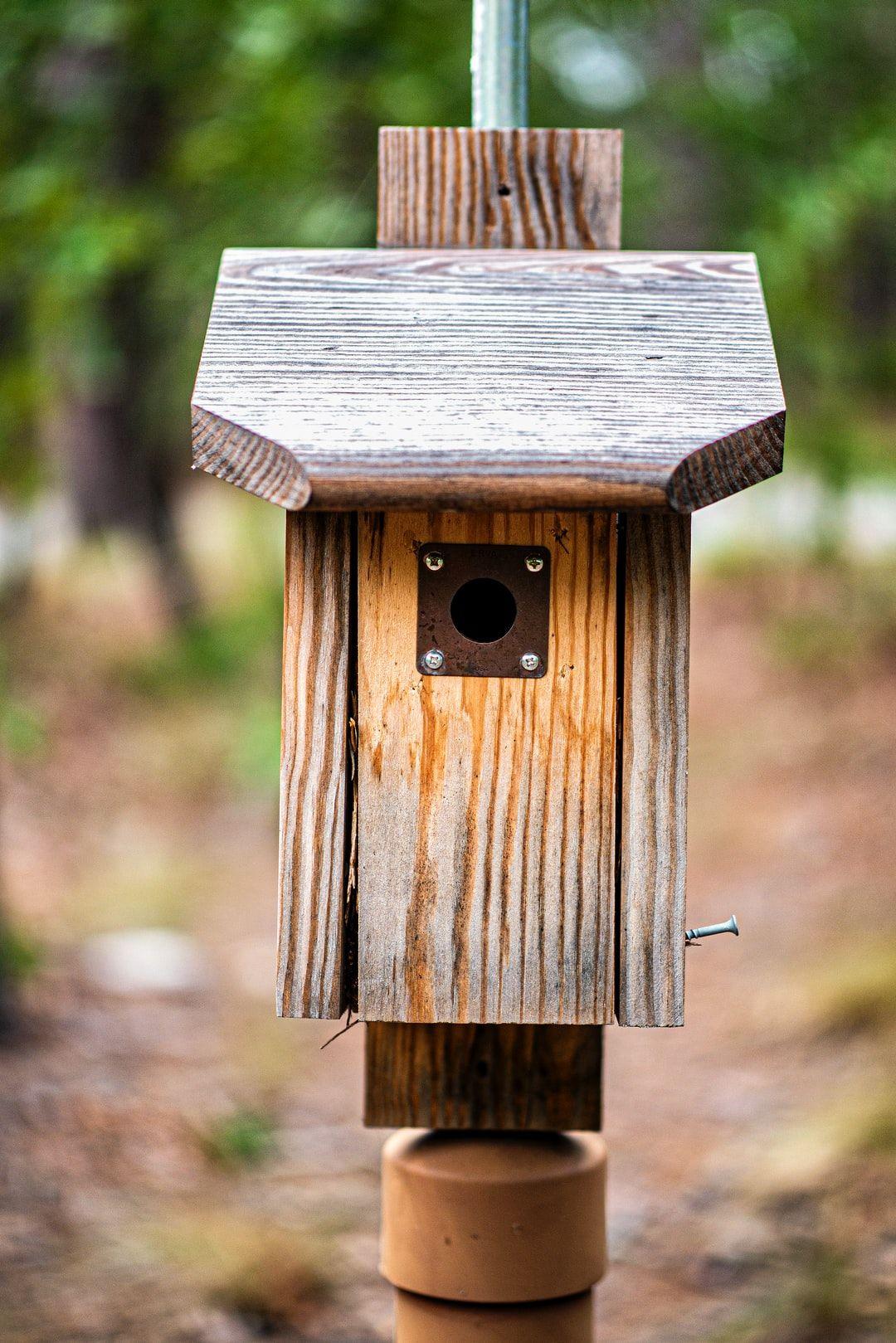 Birdhouse Wallpapers - Top Free Birdhouse Backgrounds - WallpaperAccess