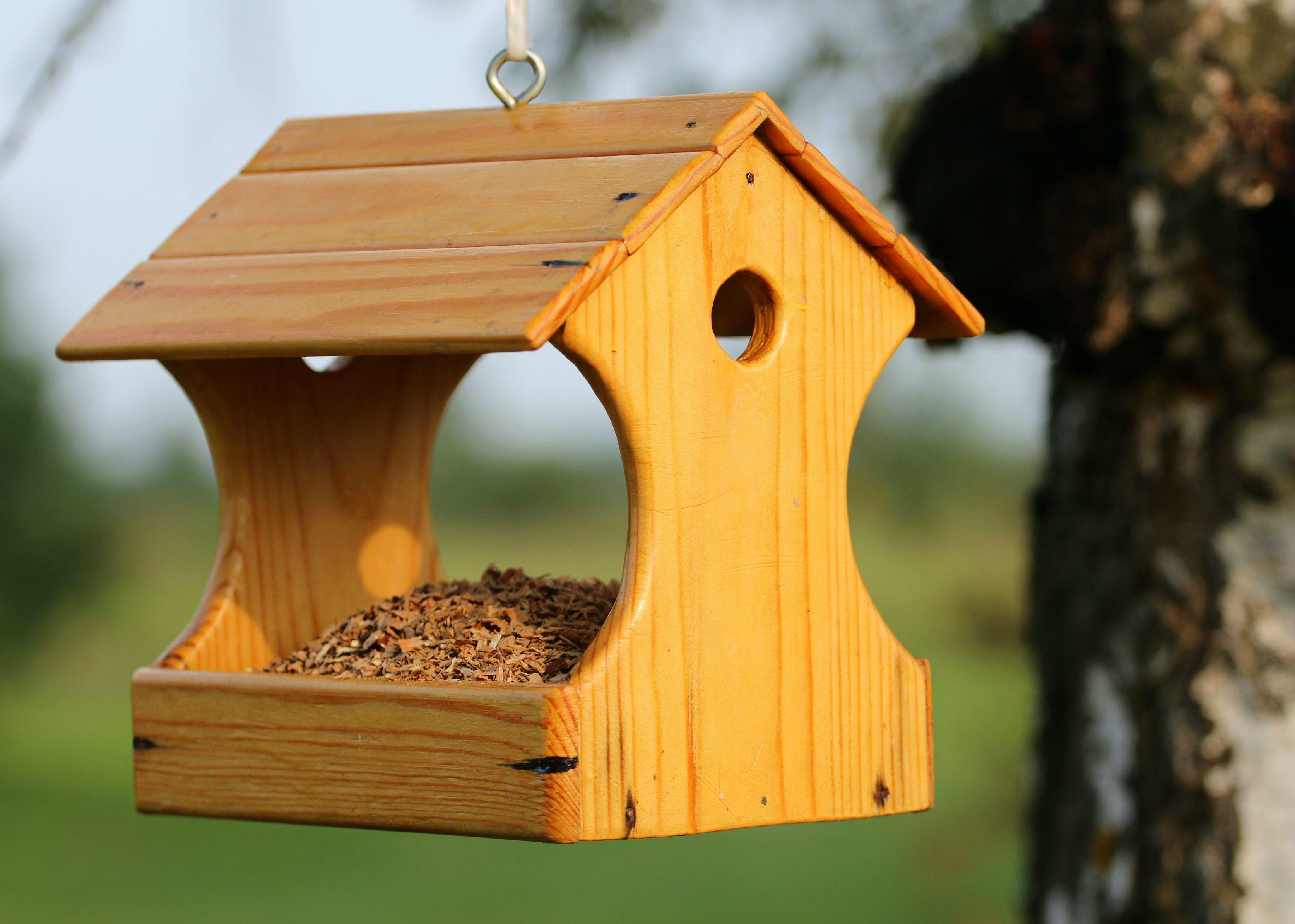 Birdhouse Wallpapers - Top Free Birdhouse Backgrounds - WallpaperAccess