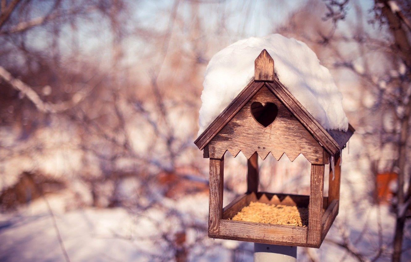 Birdhouse Wallpapers - Top Free Birdhouse Backgrounds - WallpaperAccess