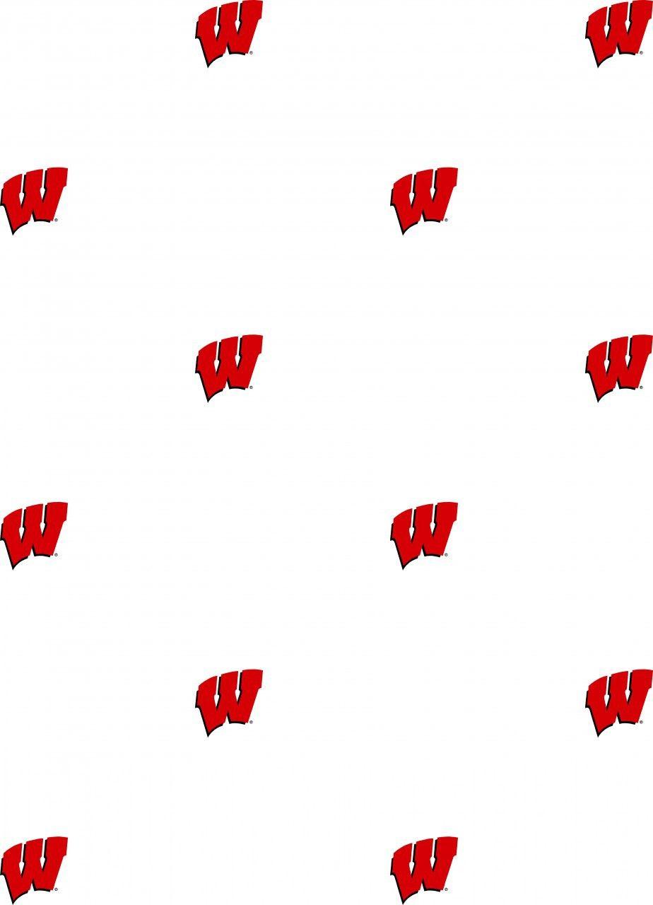 Wisconsin Badgers Wallpapers - Top Free Wisconsin Badgers Backgrounds ...