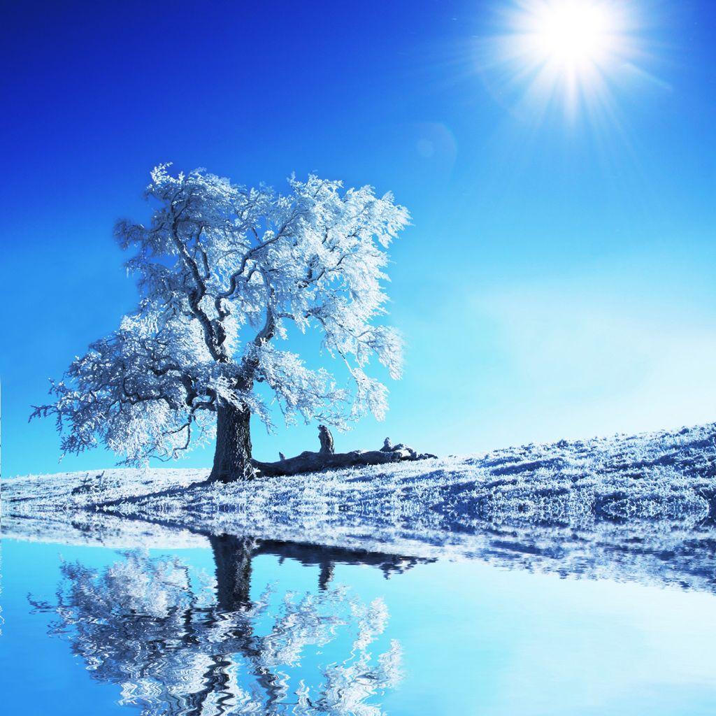 Winter iPad Air Wallpapers - Top Free Winter iPad Air Backgrounds ...
