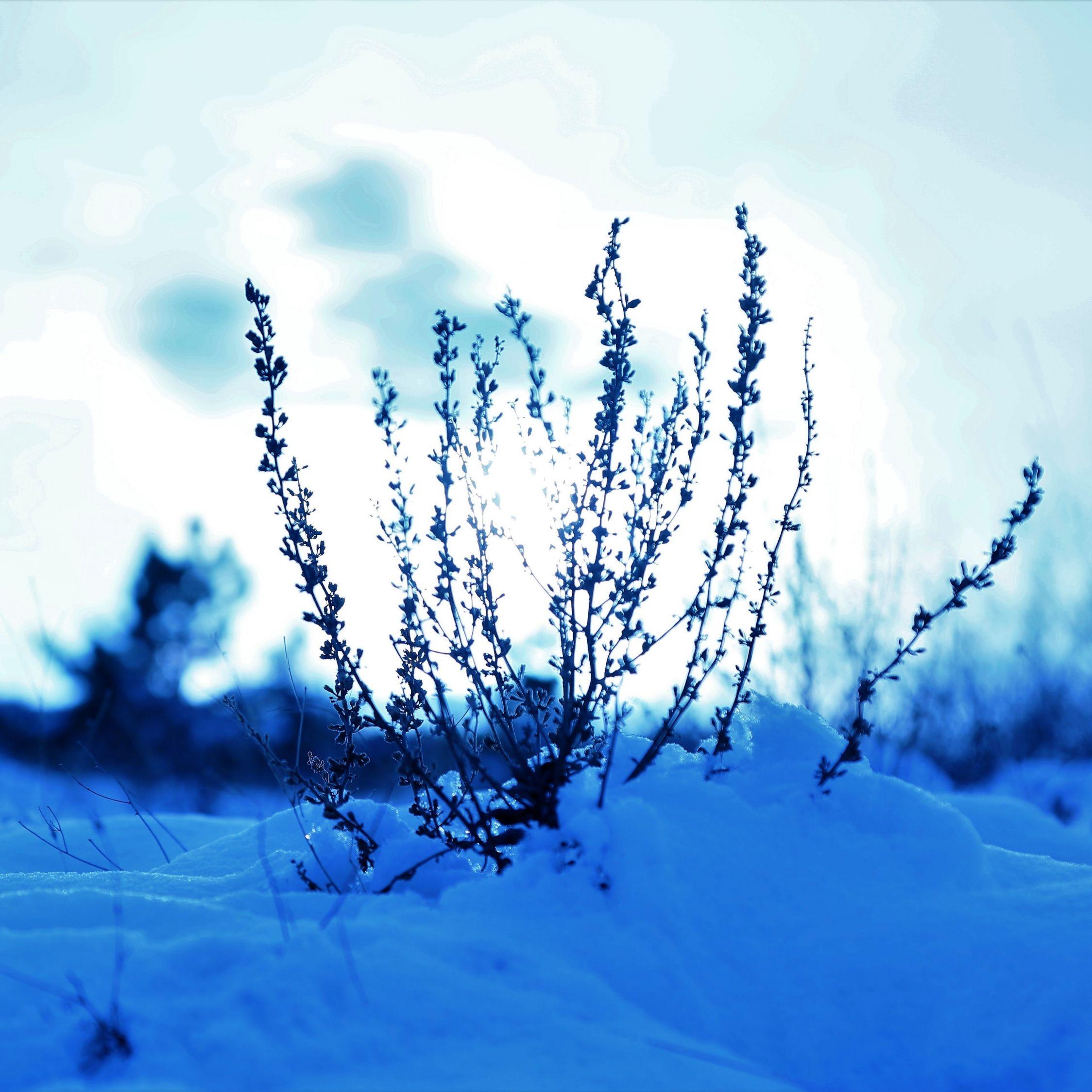 iPad Snow Wallpapers - Top Free iPad Snow Backgrounds - WallpaperAccess