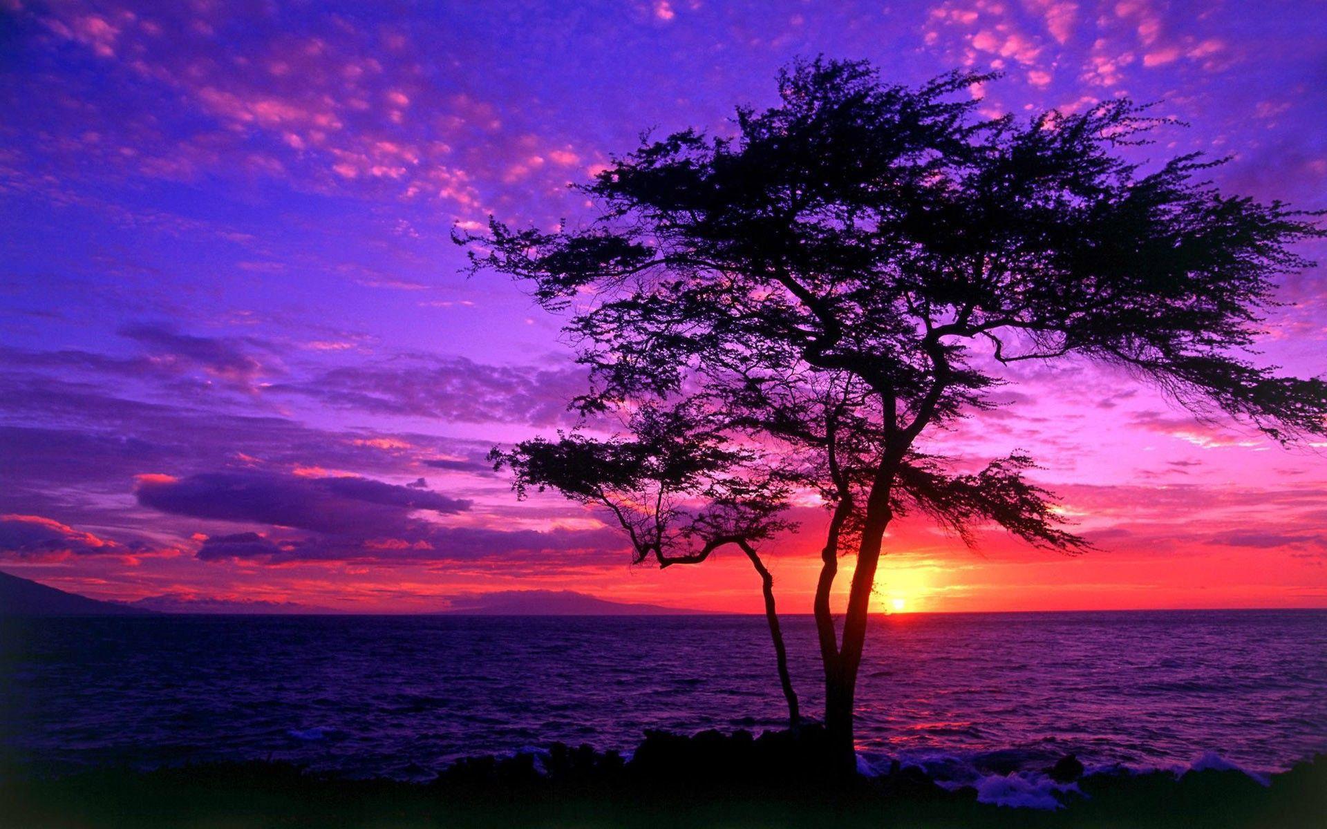 Ocean Purple Sunset Wallpapers - Top Free Ocean Purple Sunset ...