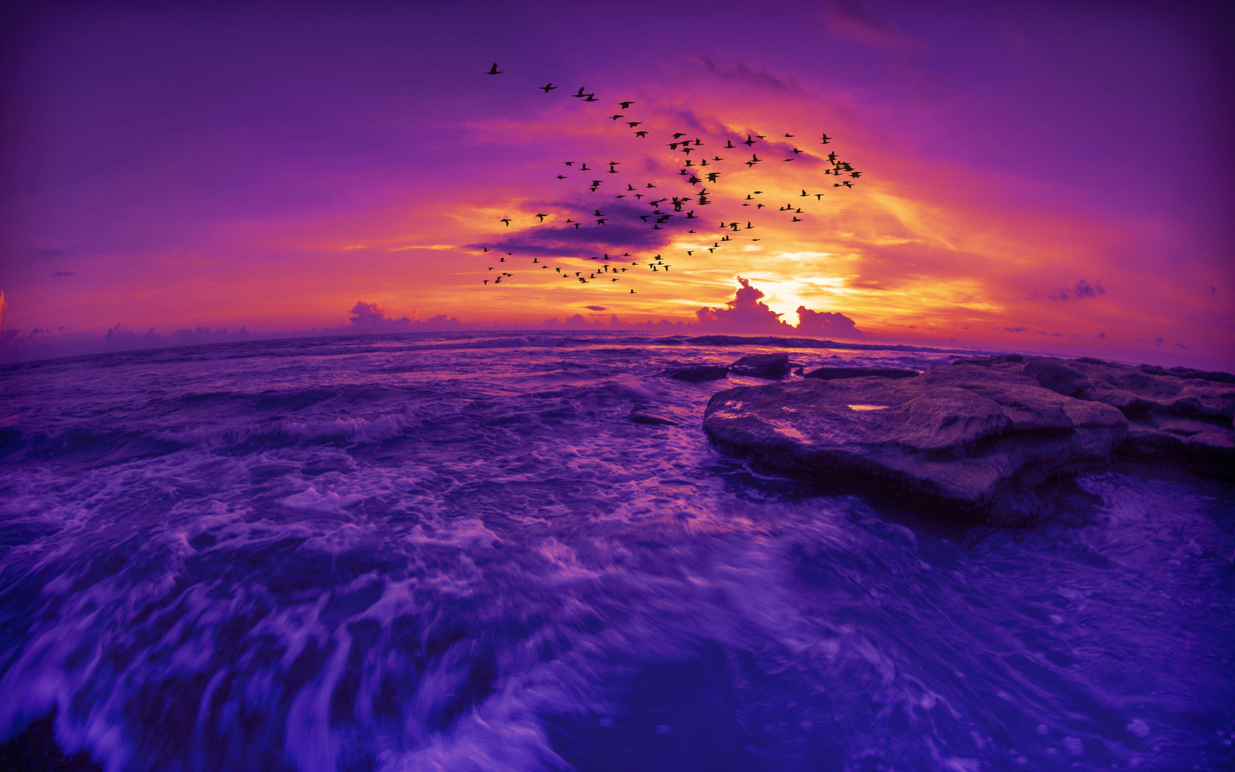 Ocean Purple Sunset Wallpapers - Top Free Ocean Purple Sunset ...