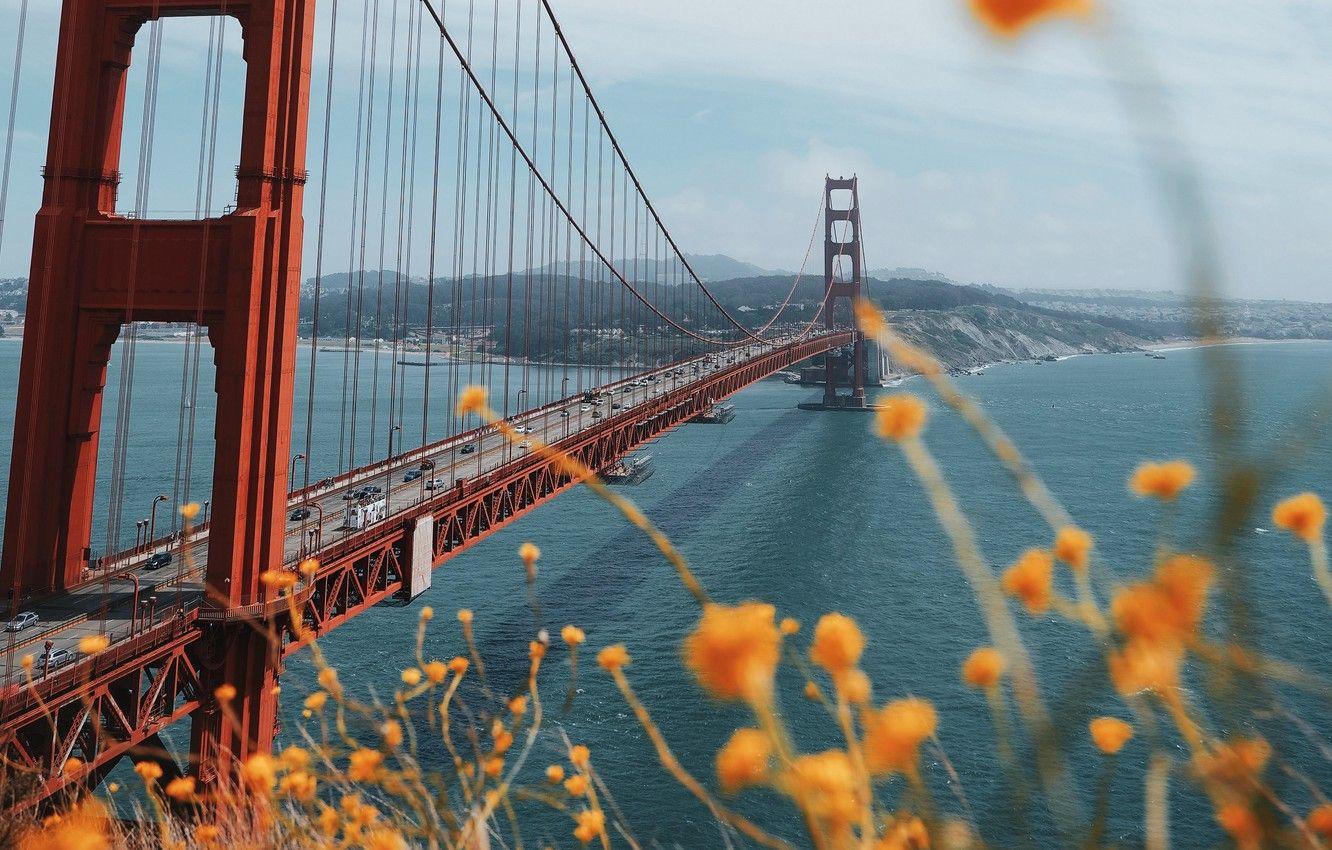 Golden Gate 4K Ultra HD Wallpapers - Top Free Golden Gate 4K Ultra HD ...