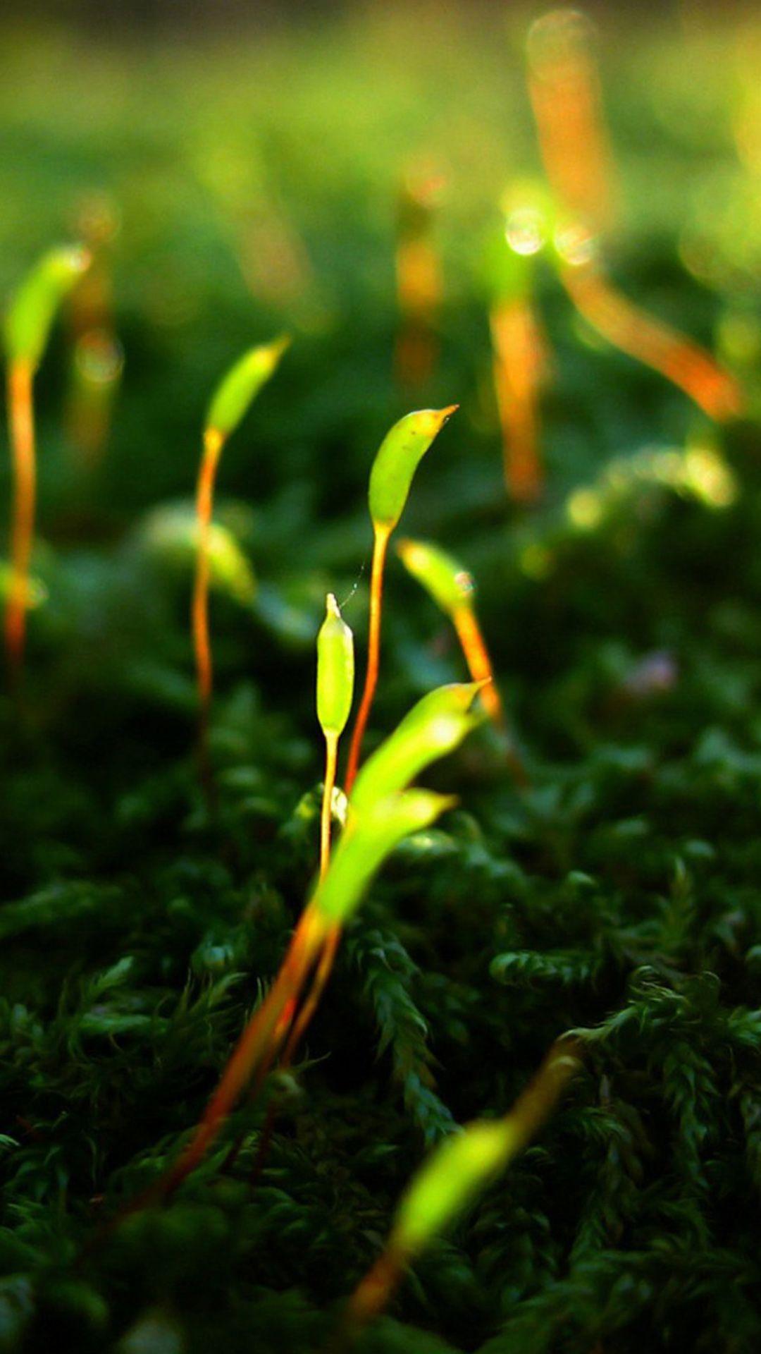 Vibrant iPhone Wallpapers - Top Free Vibrant iPhone Backgrounds ...