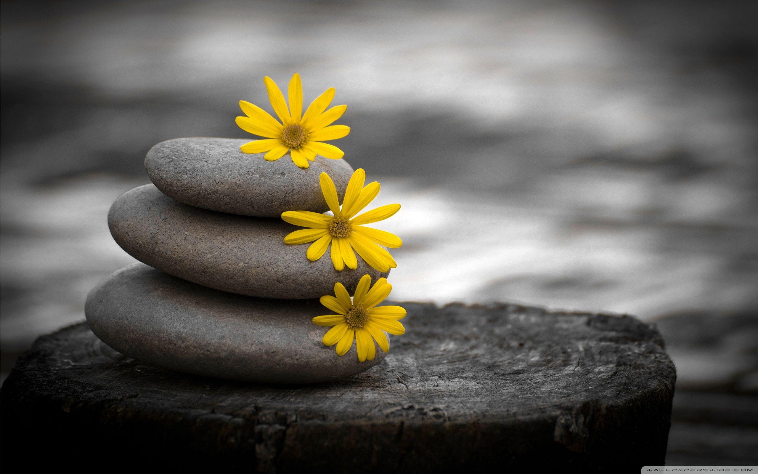 Zen Rocks Wallpapers - Top Free Zen Rocks Backgrounds - WallpaperAccess