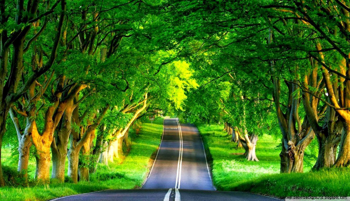 Beautiful Views Wallpapers - Top Free Beautiful Views Backgrounds ...