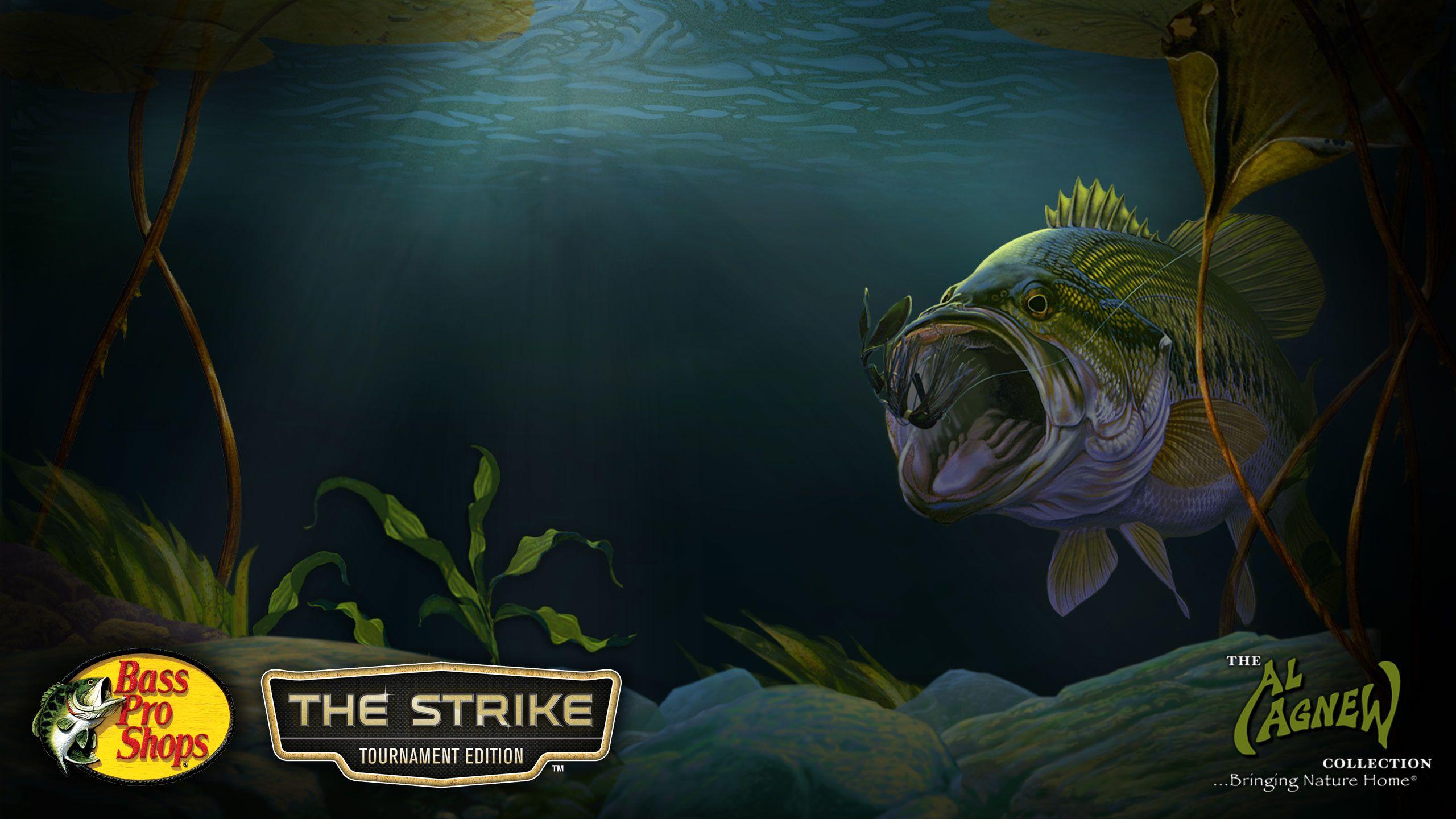 Largemouth Bass Wallpapers - Top Free Largemouth Bass Backgrounds ...