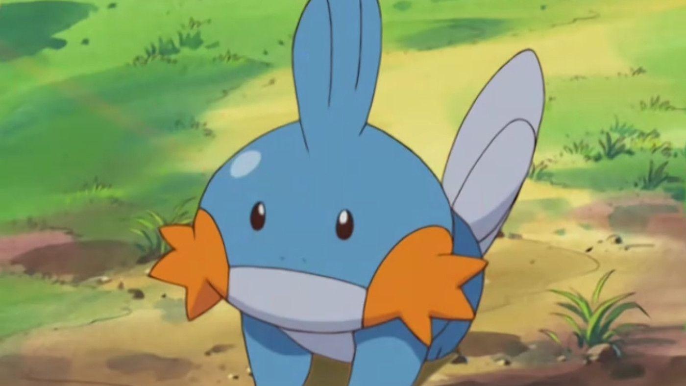 Shiny Mudkip Wallpapers - Top Free Shiny Mudkip Backgrounds - WallpaperAccess