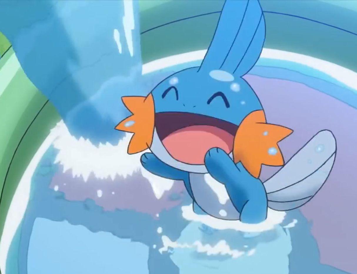 Shiny Mudkip Wallpapers - Top Free Shiny Mudkip Backgrounds - WallpaperAccess