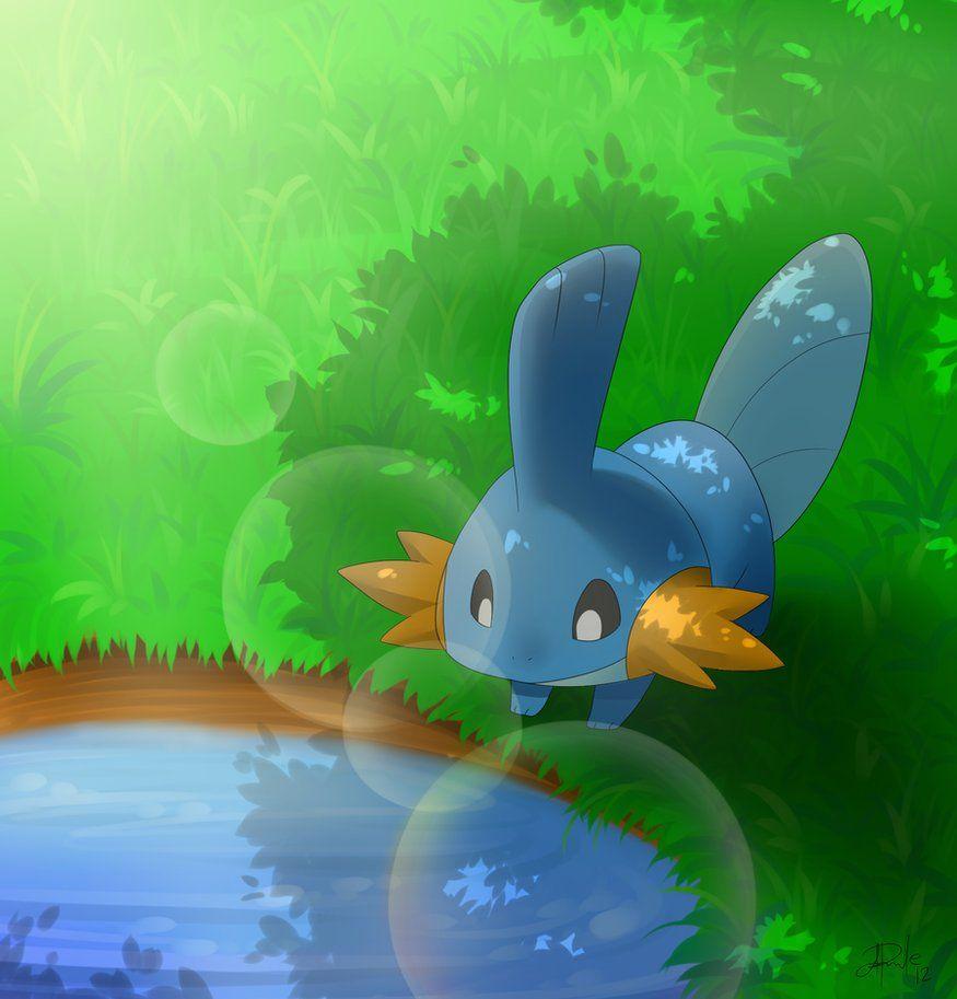 Shiny Mudkip Wallpapers - Top Free Shiny Mudkip Backgrounds - WallpaperAccess