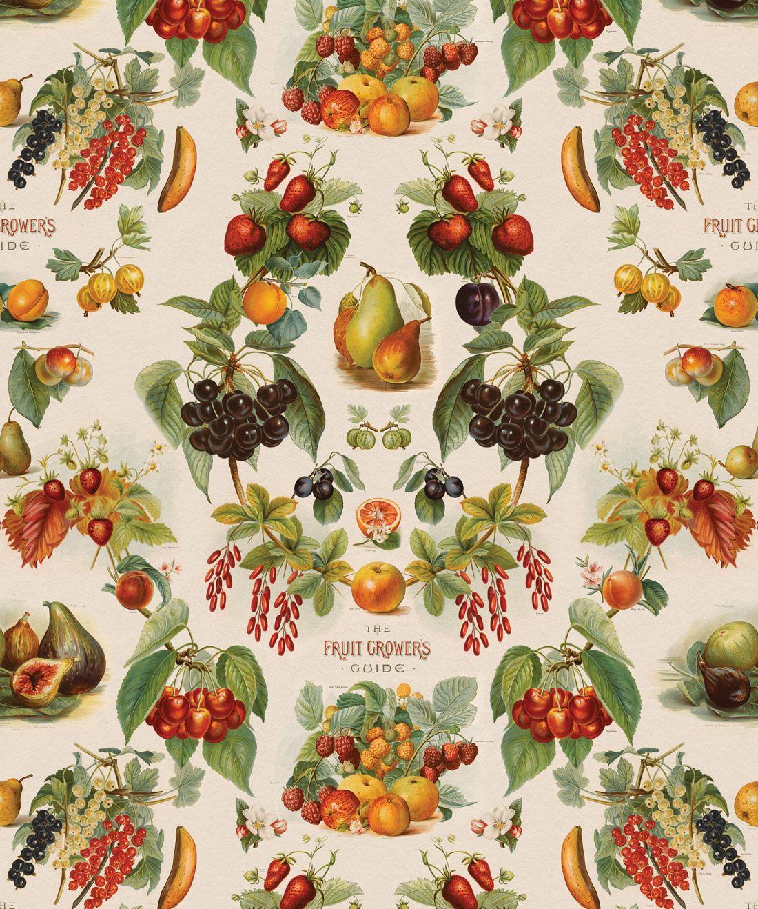 Pastel Fruit Wallpapers - Top Free Pastel Fruit Backgrounds ...