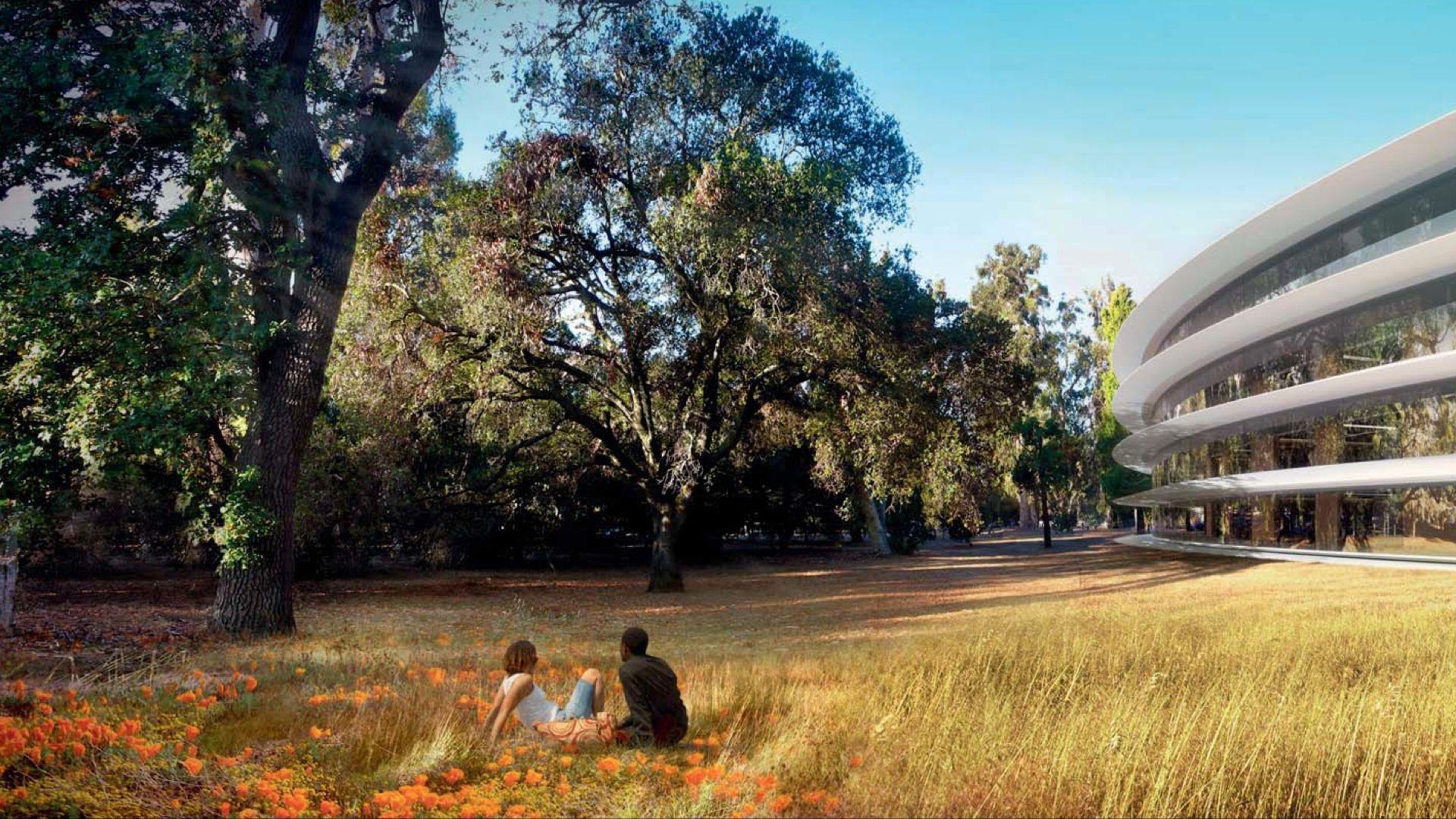 Apple Building Wallpapers - Top Free Apple Building Backgrounds ...