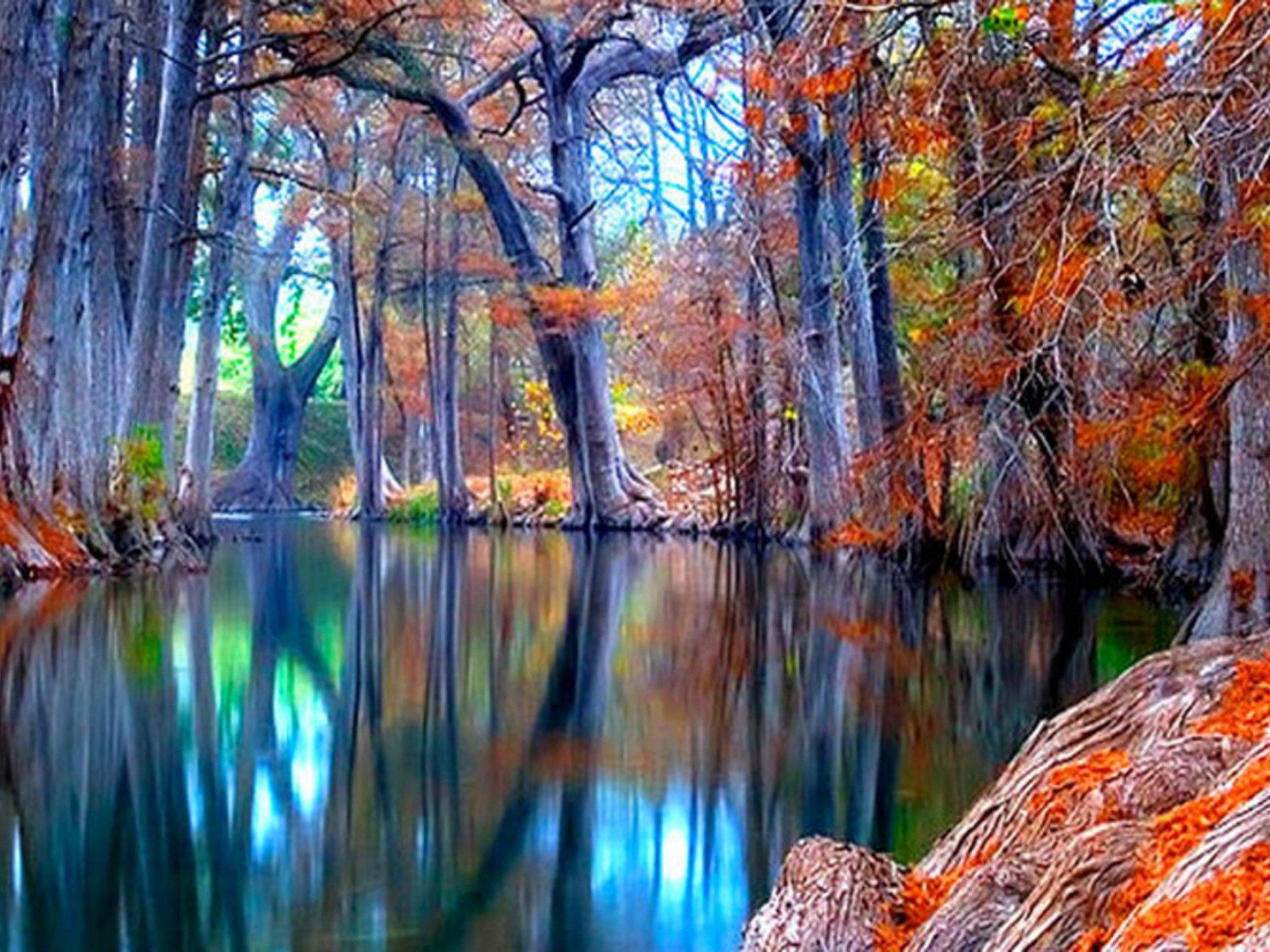 Autumn Stream Wallpapers - Top Free Autumn Stream Backgrounds ...