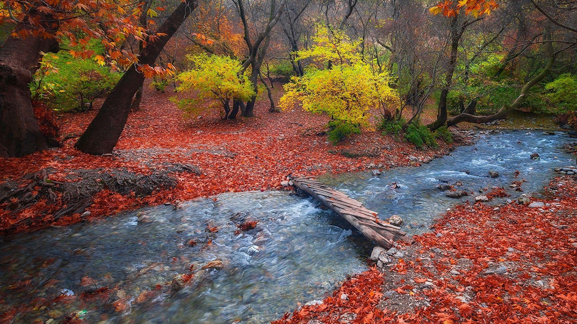 Autumn Stream Wallpapers - Top Free Autumn Stream Backgrounds ...