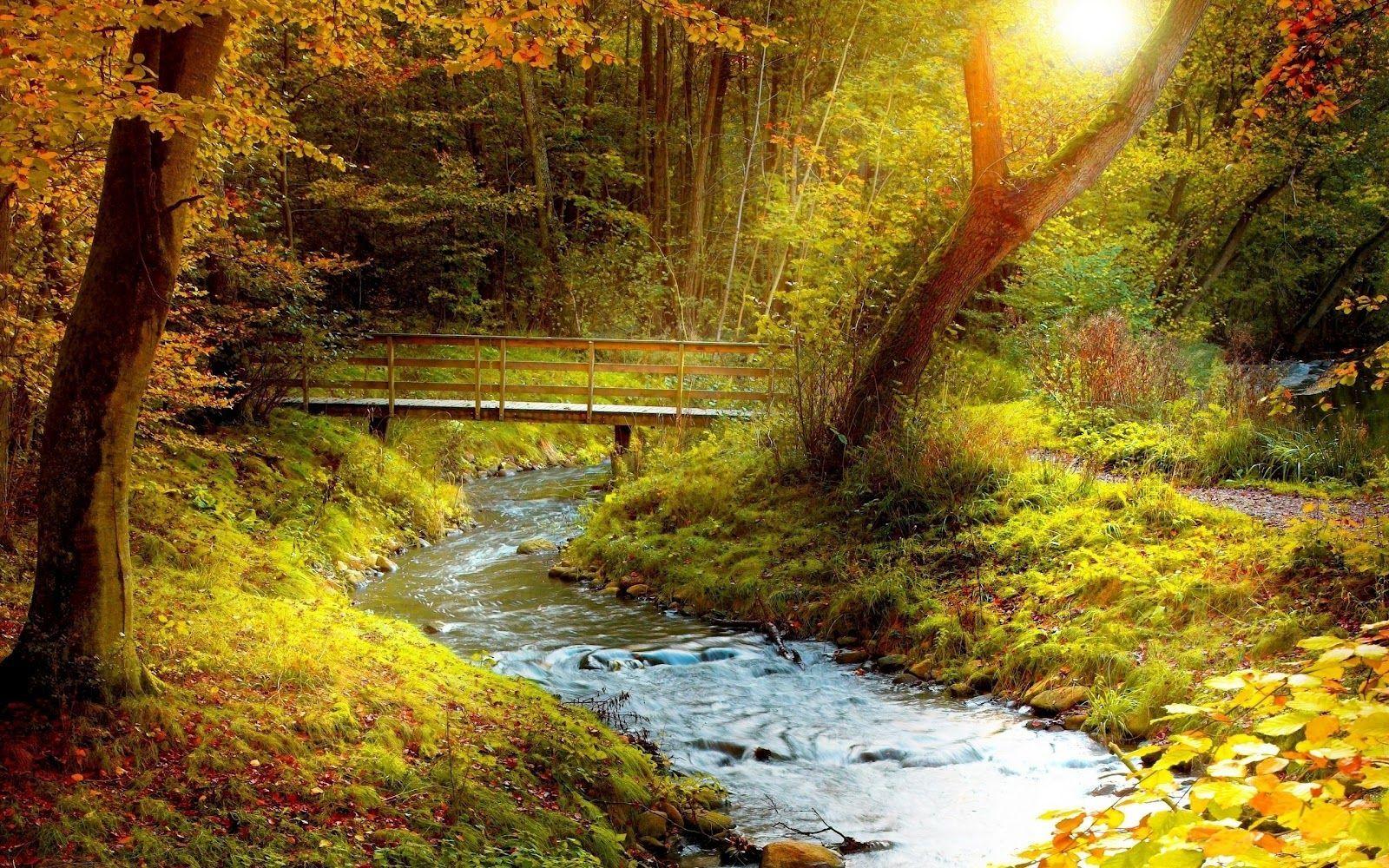 Autumn Stream Wallpapers - Top Free Autumn Stream Backgrounds ...