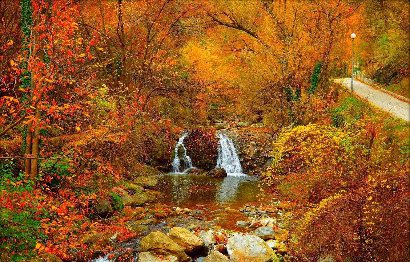 Autumn Stream Wallpapers - Top Free Autumn Stream Backgrounds ...