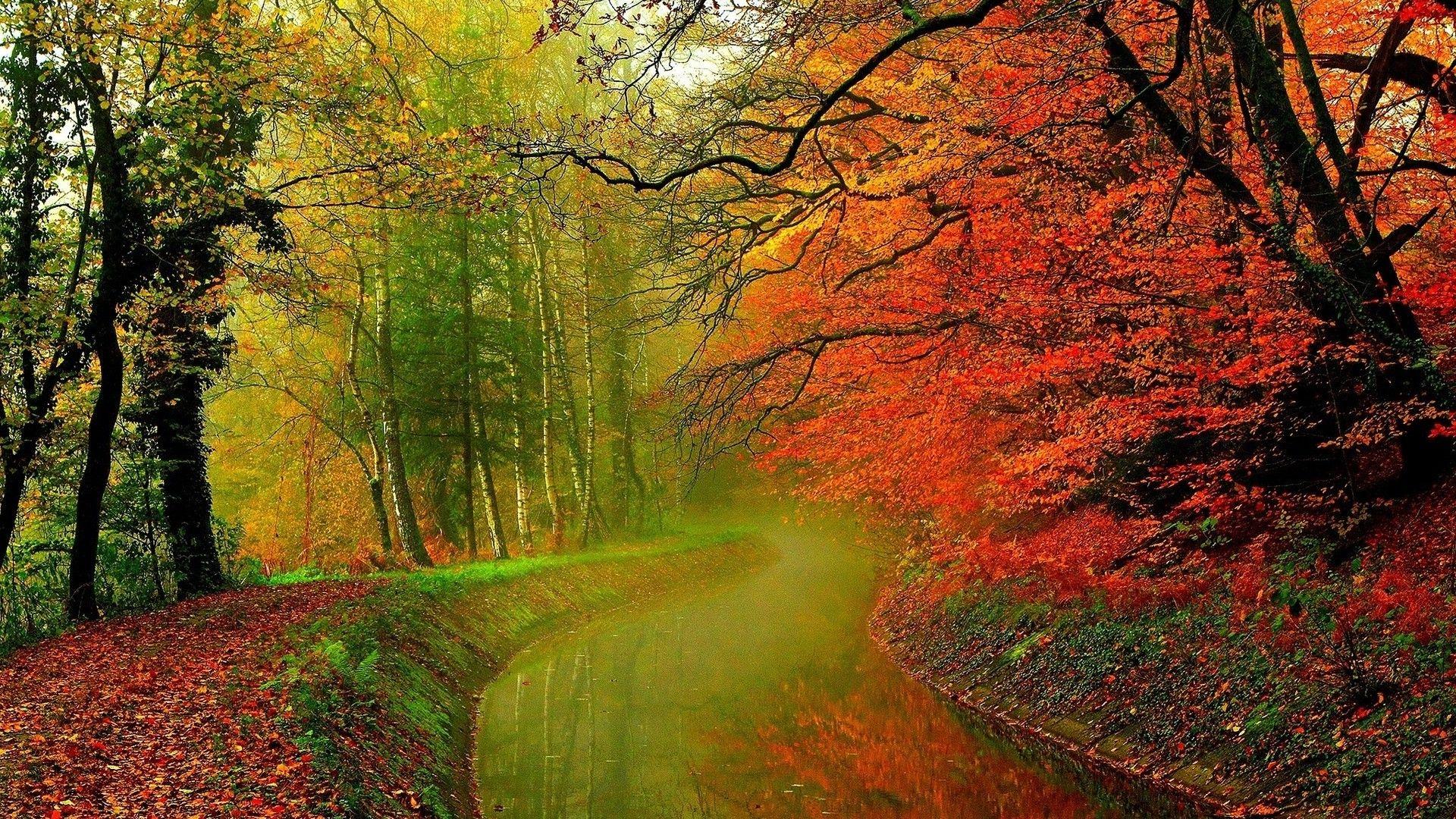 Autumn Stream Wallpapers - Top Free Autumn Stream Backgrounds ...
