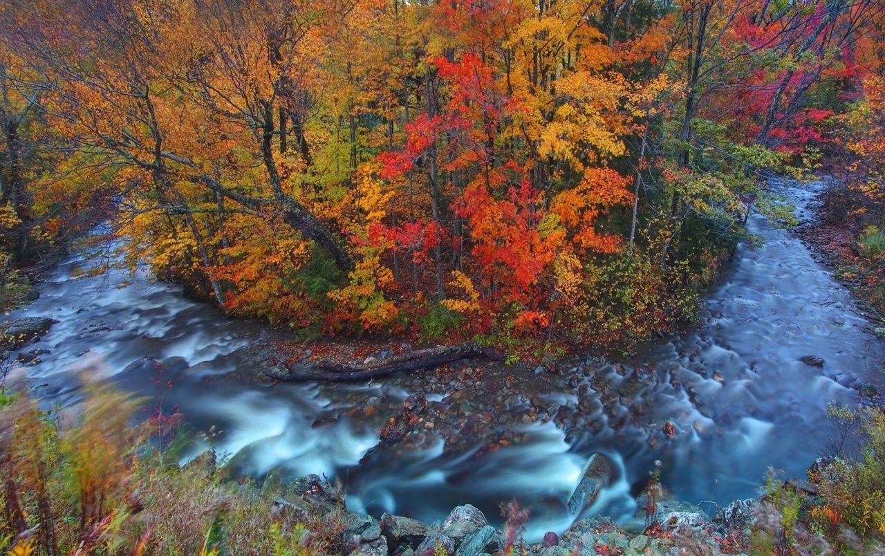 Autumn Stream Wallpapers - Top Free Autumn Stream Backgrounds ...
