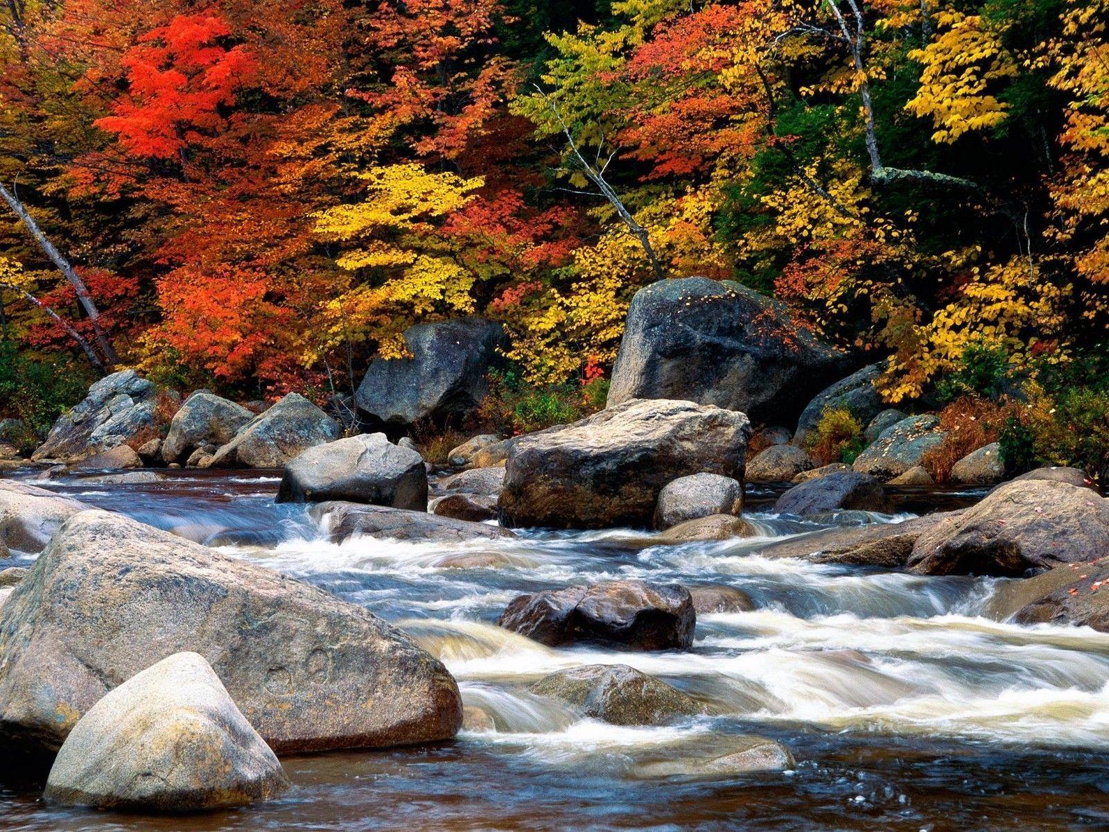 Autumn Stream Wallpapers - Top Free Autumn Stream Backgrounds ...