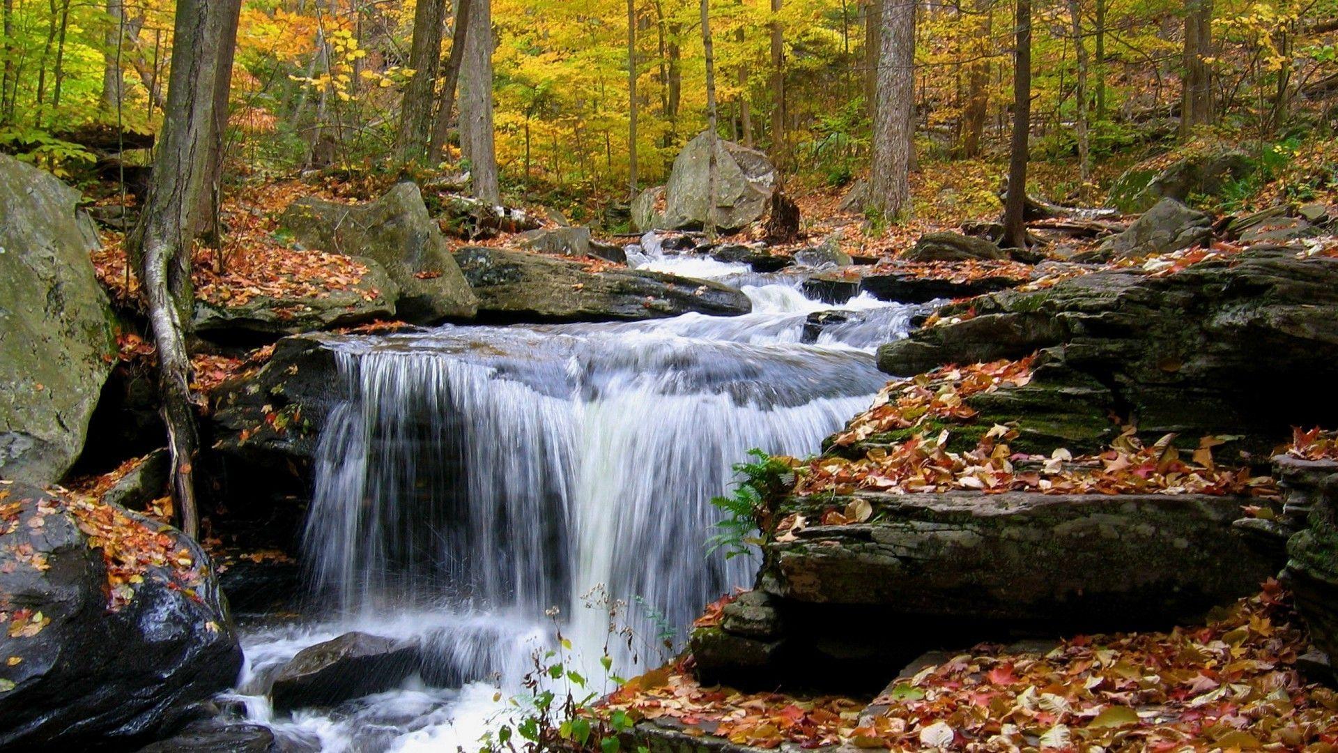 Autumn Stream Wallpapers - Top Free Autumn Stream Backgrounds ...