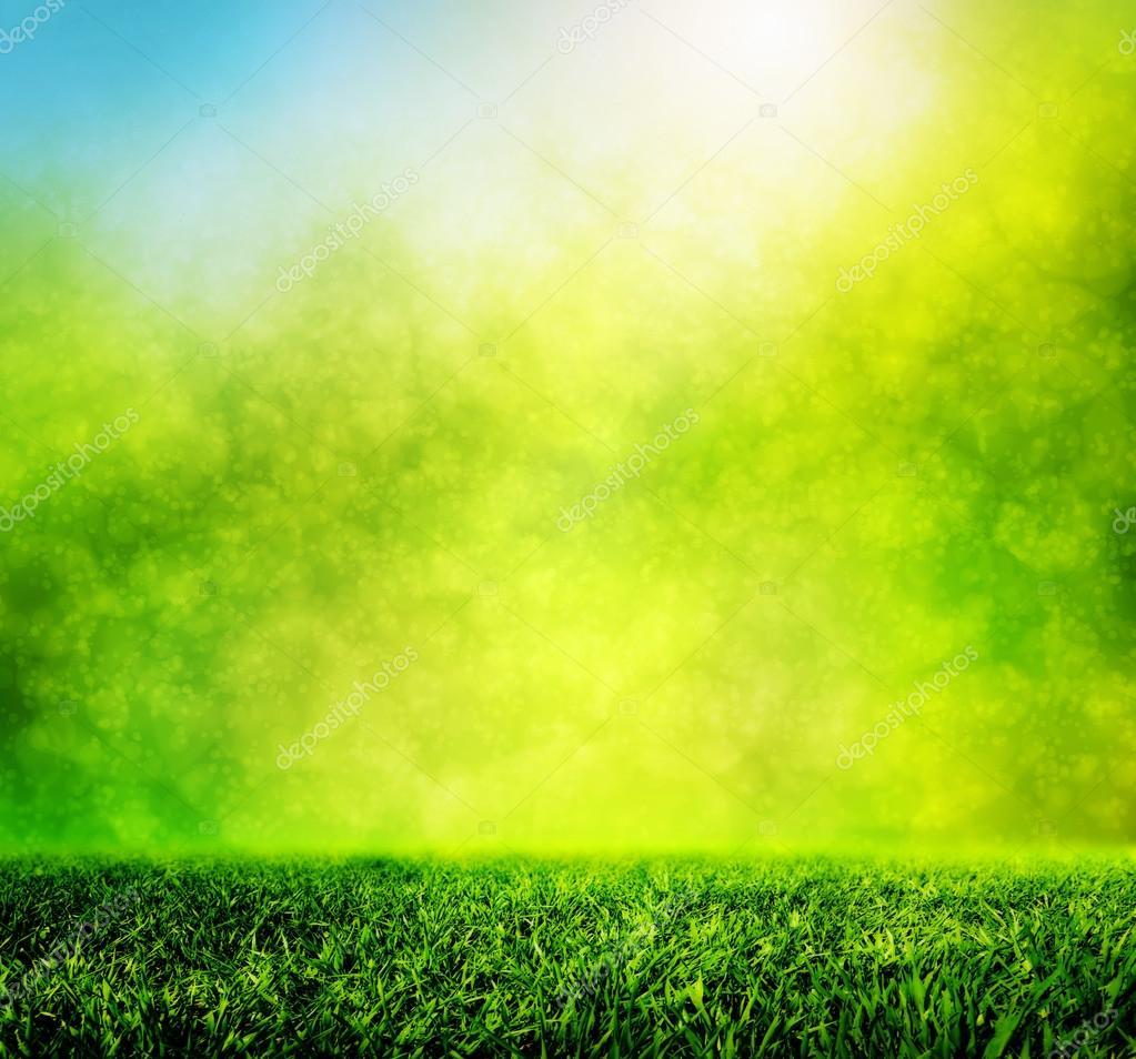 Spring Grass Wallpapers - Top Free Spring Grass Backgrounds ...