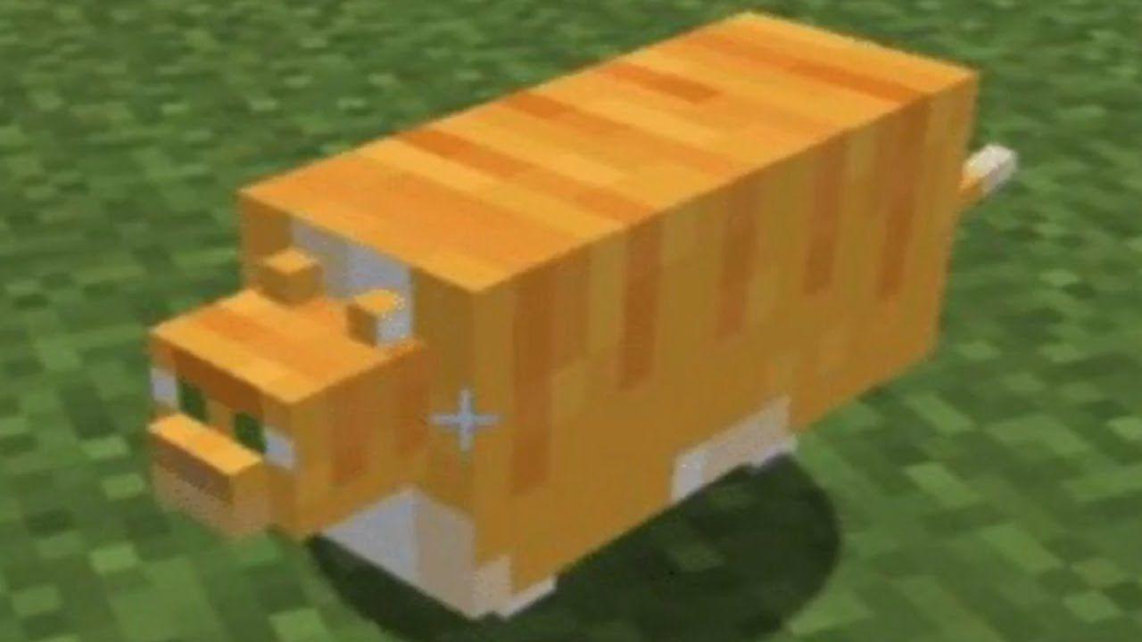 Minecraft Cat Wallpapers - Top Free Minecraft Cat Backgrounds ...