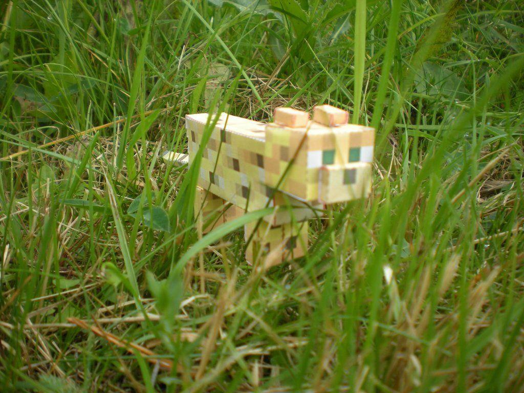 Minecraft Cat Wallpapers - Top Free Minecraft Cat Backgrounds ...