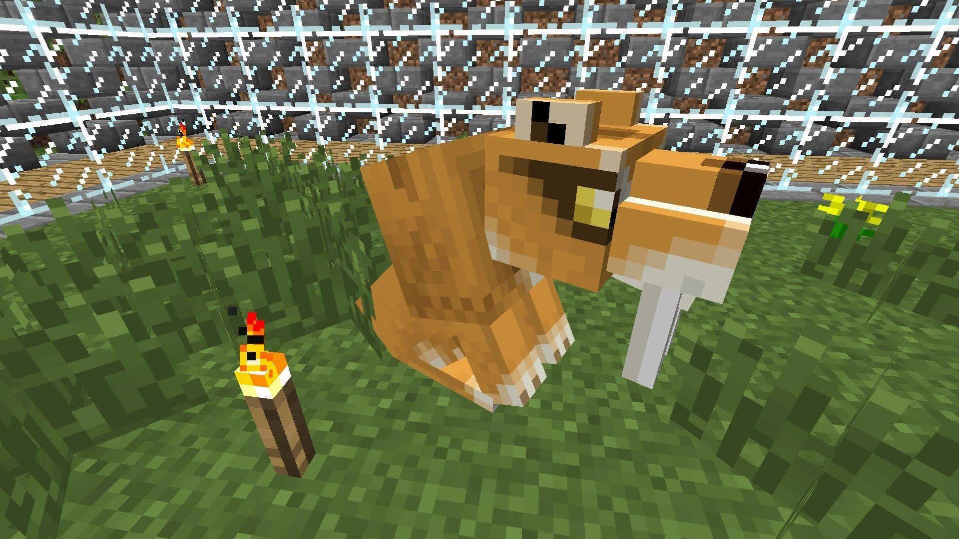 Minecraft Cat Wallpapers - Top Free Minecraft Cat Backgrounds ...