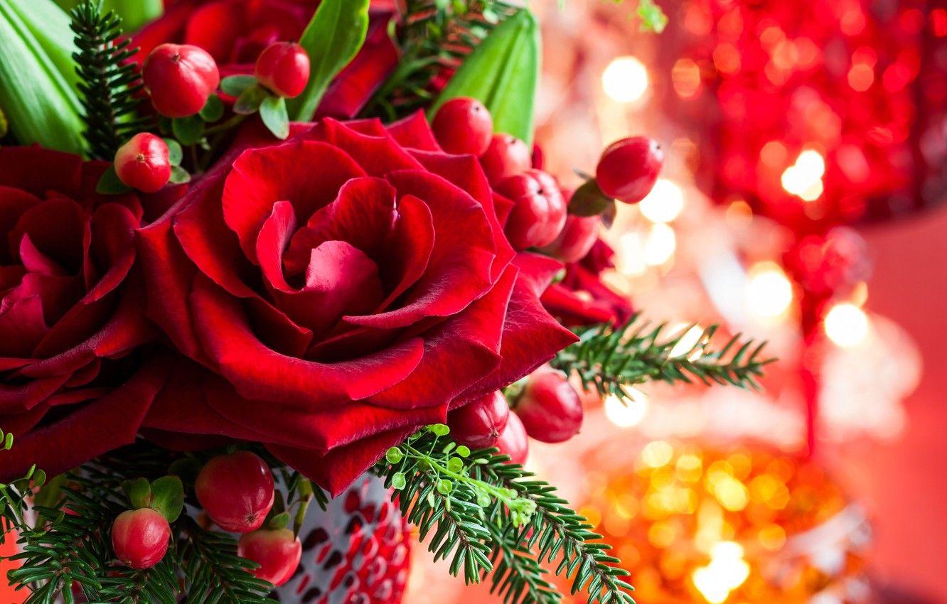 Christmas Leaves Wallpapers - Top Free Christmas Leaves Backgrounds ...