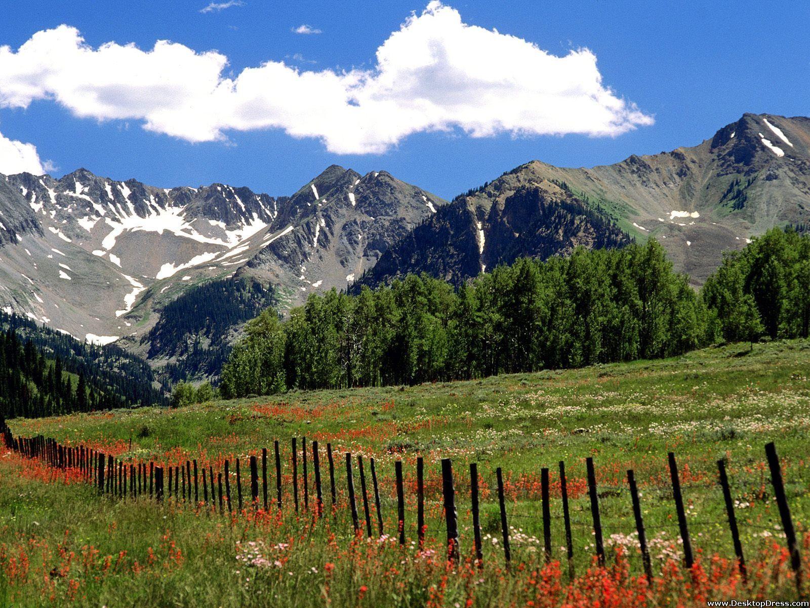 Aspen Colorado Wallpapers - Top Free Aspen Colorado Backgrounds ...