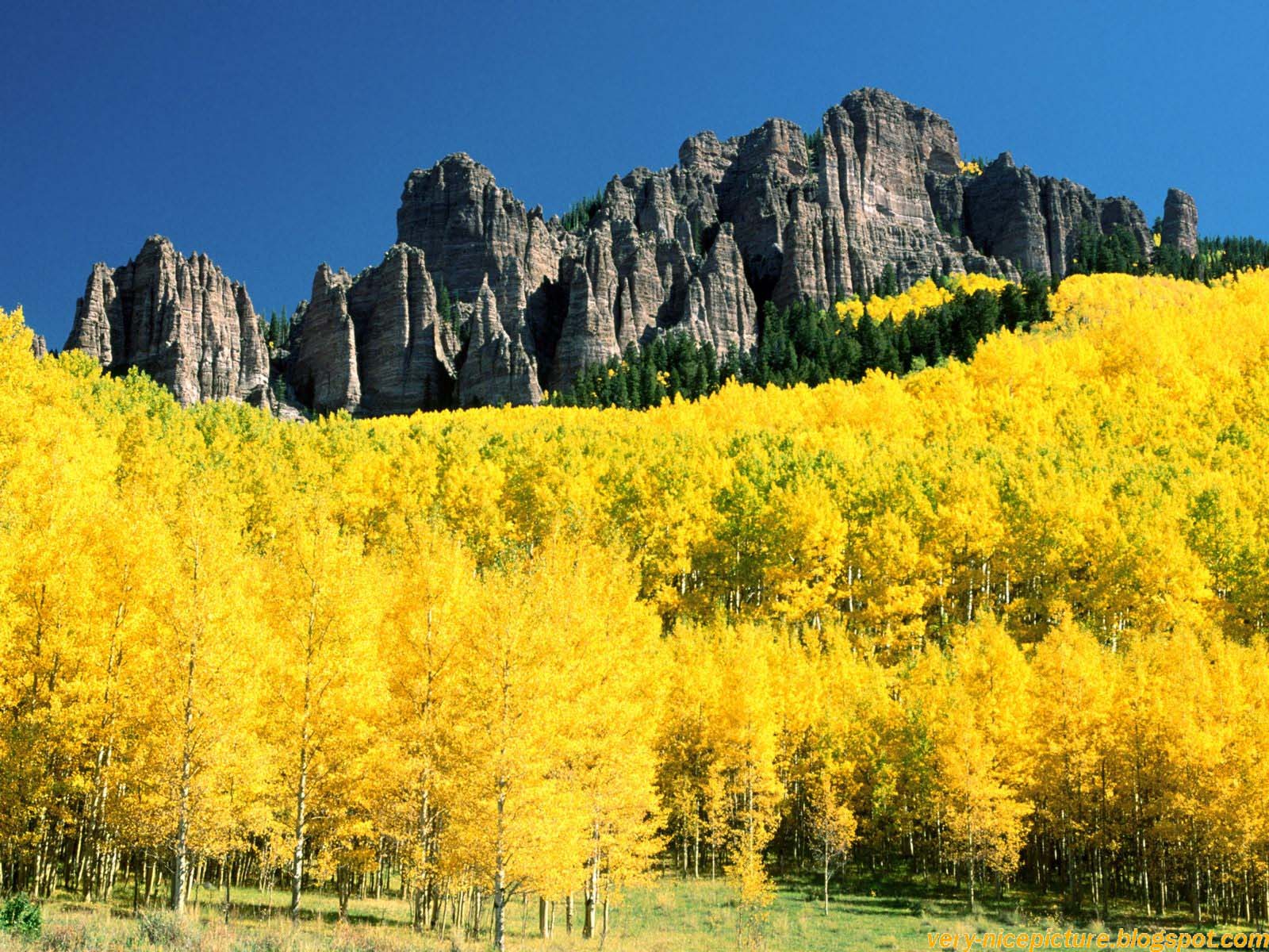 Aspen Colorado Wallpapers - Top Free Aspen Colorado Backgrounds ...