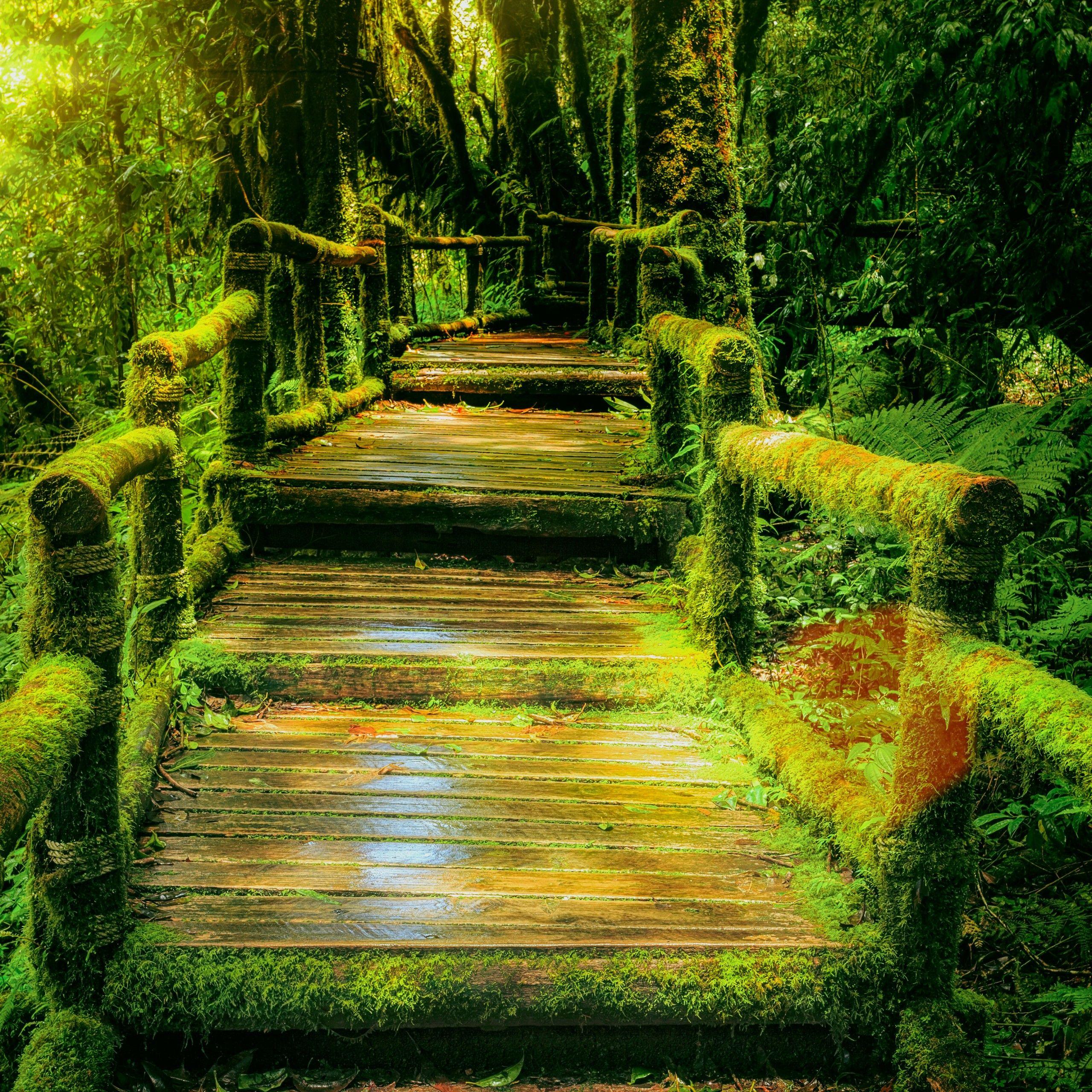 5K Green Wallpapers - Top Free 5K Green Backgrounds - WallpaperAccess