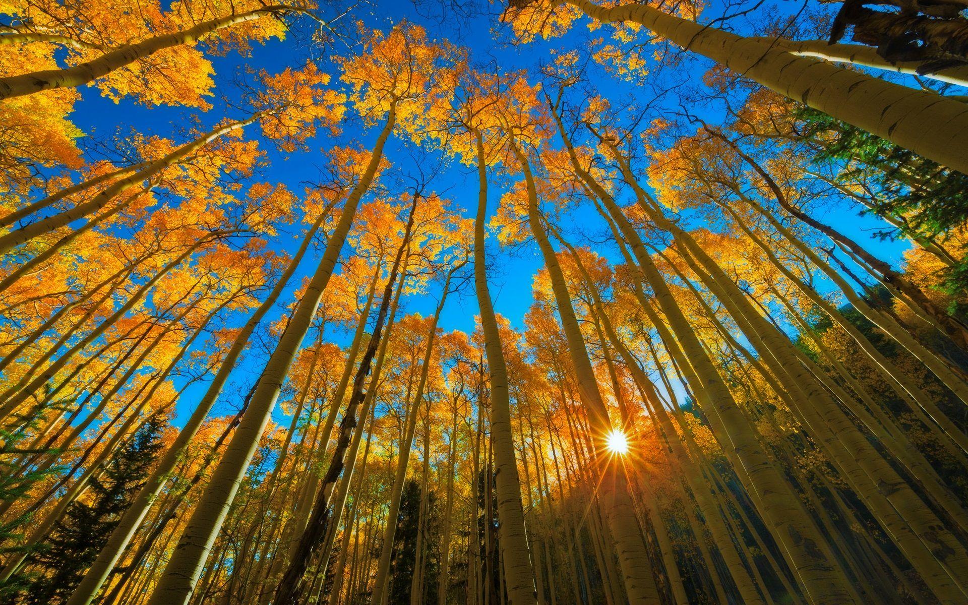 Aspen Colorado Wallpapers - Top Free Aspen Colorado Backgrounds ...