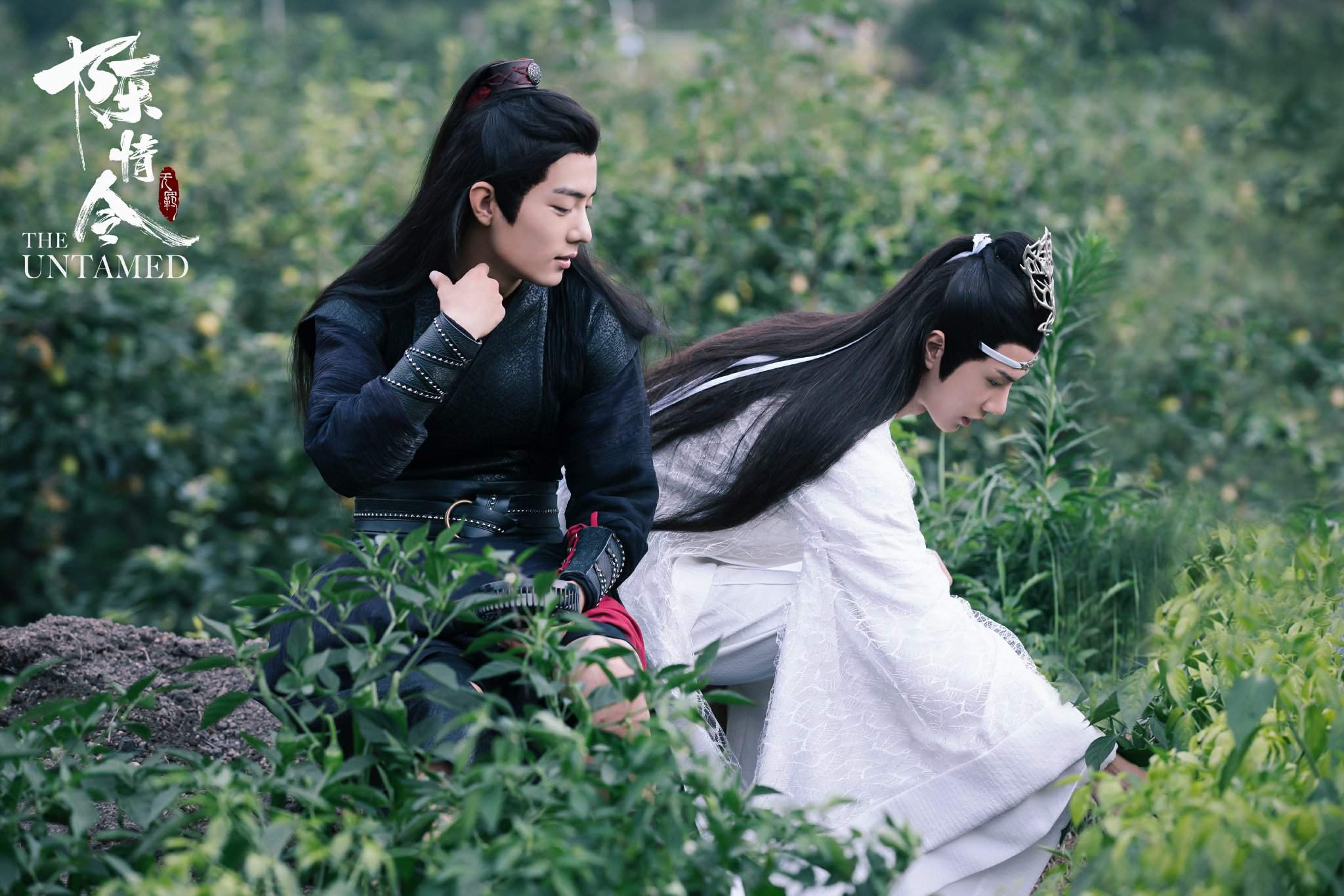 The Untamed Chinese Drama Wallpapers - Top Free The Untamed Chinese ...