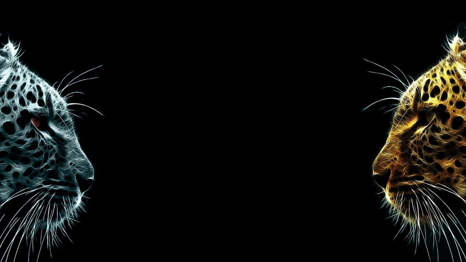 Dual Monitor Cat Wallpapers - Top Free Dual Monitor Cat Backgrounds ...