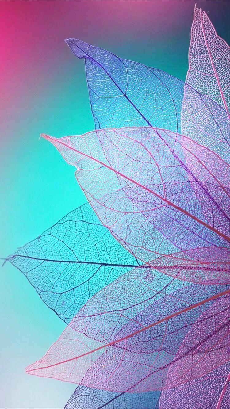 Blue Leaves Wallpapers - Top Free Blue Leaves Backgrounds - WallpaperAccess
