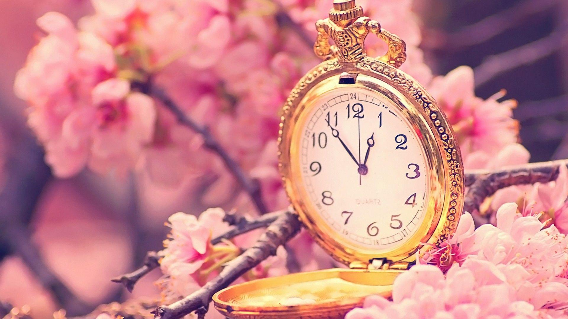 Springtime Wallpapers - Top Free Springtime Backgrounds - WallpaperAccess