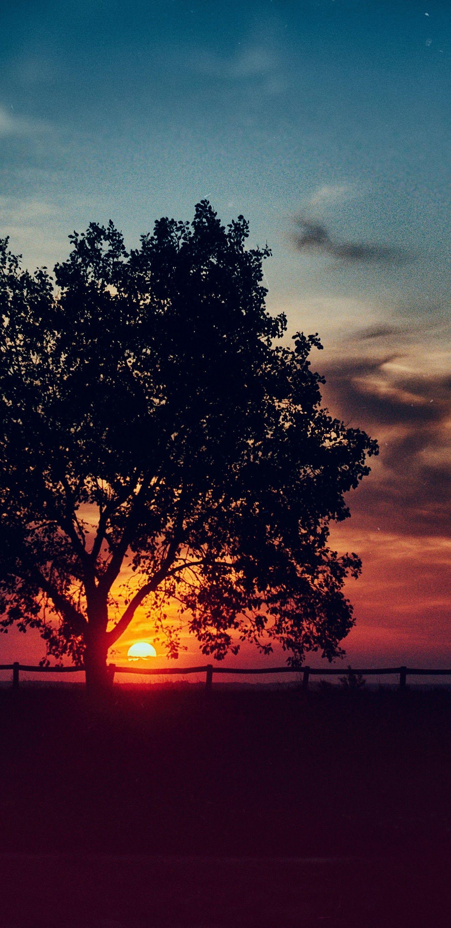 8K HD Phone Wallpapers - Top Free 8K HD Phone Backgrounds - WallpaperAccess