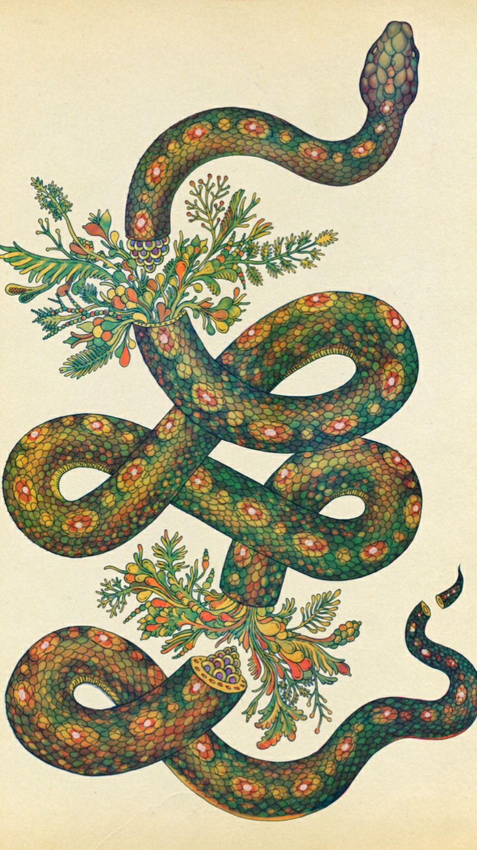 Japanese Snake Wallpapers - Top Free Japanese Snake Backgrounds ...